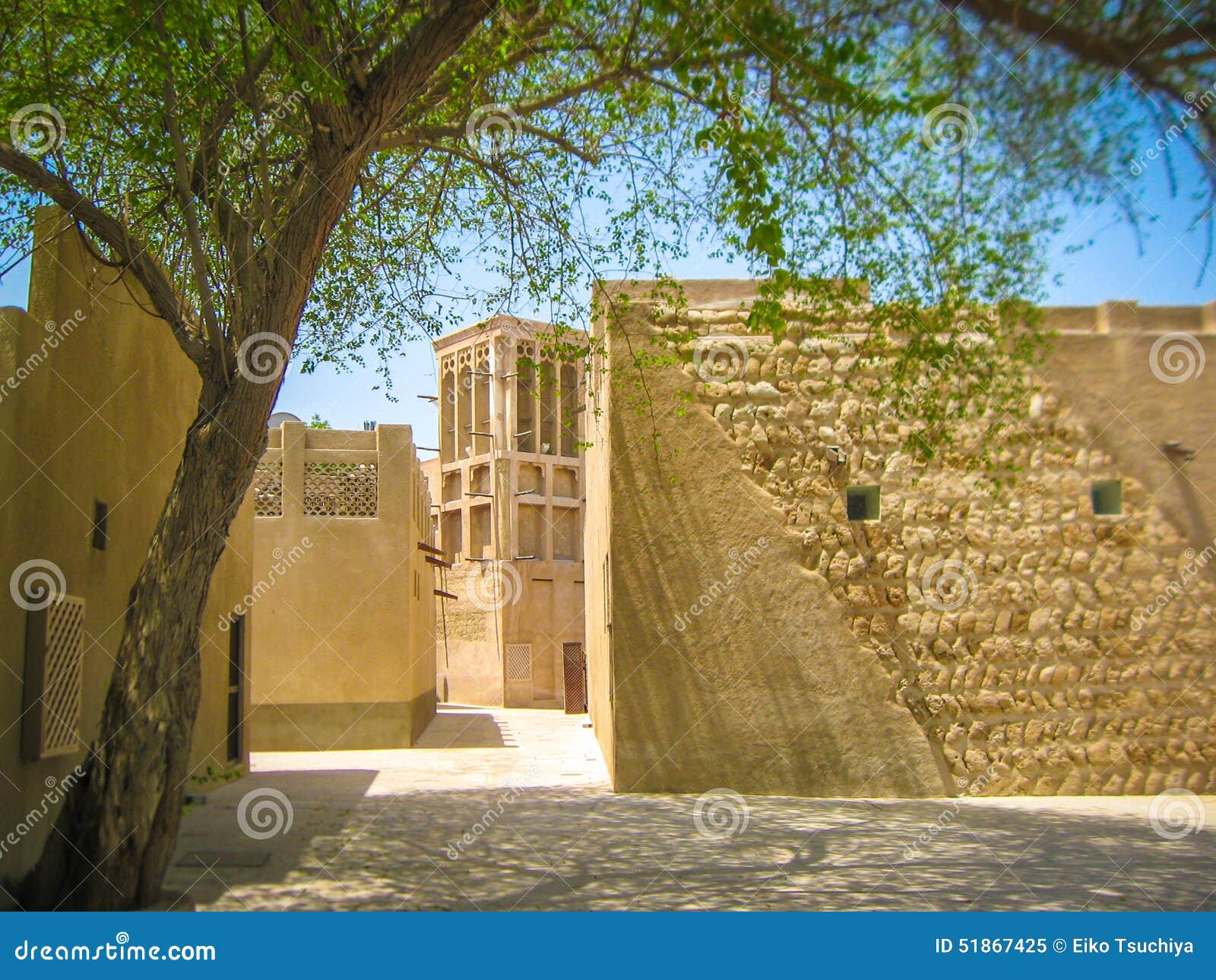 Get Shadow under the Three stock image. Image of house - 51867425