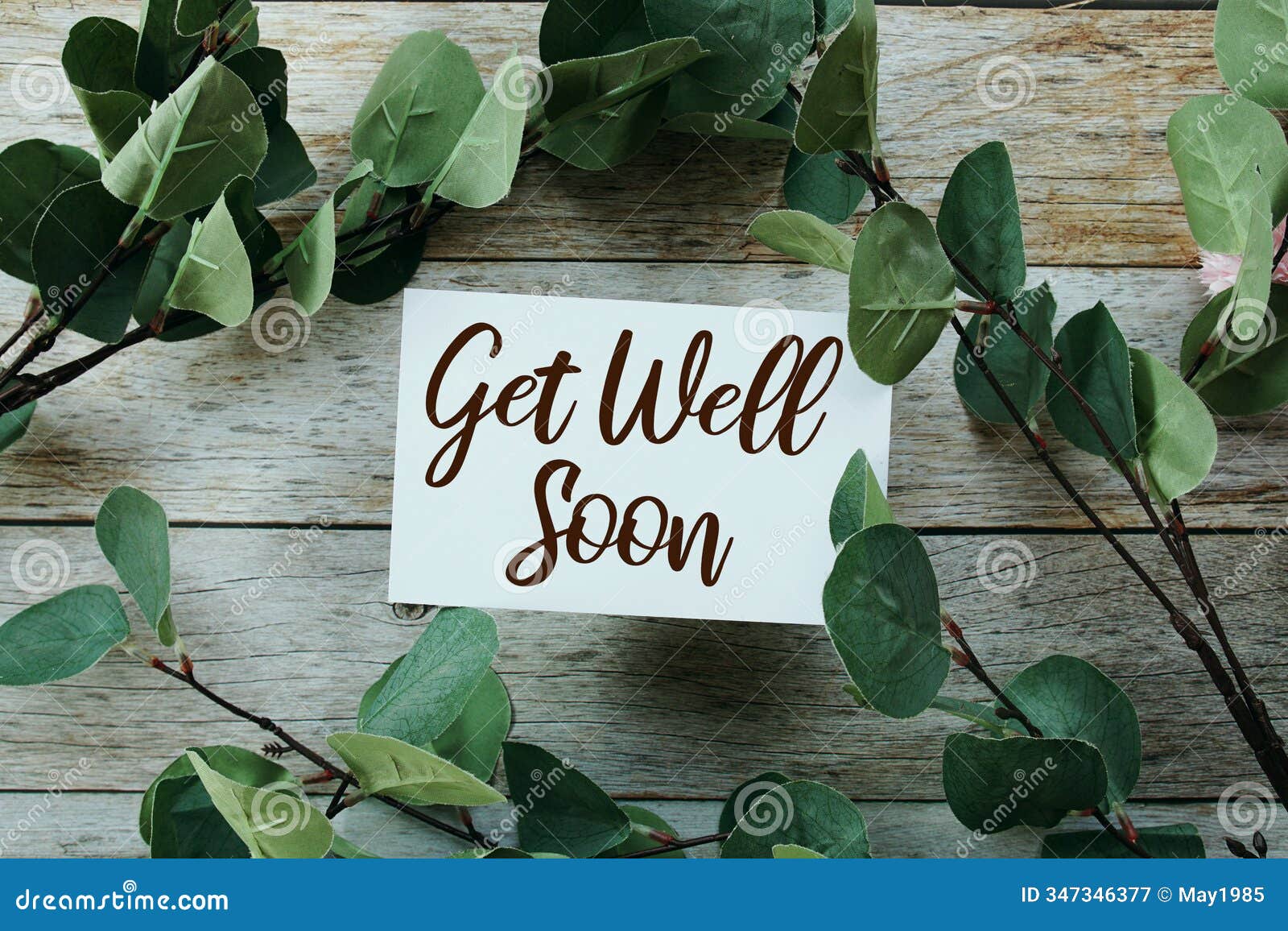 Get Well Soon Text Message with Artificial Green Eucalyptus Leaf ...