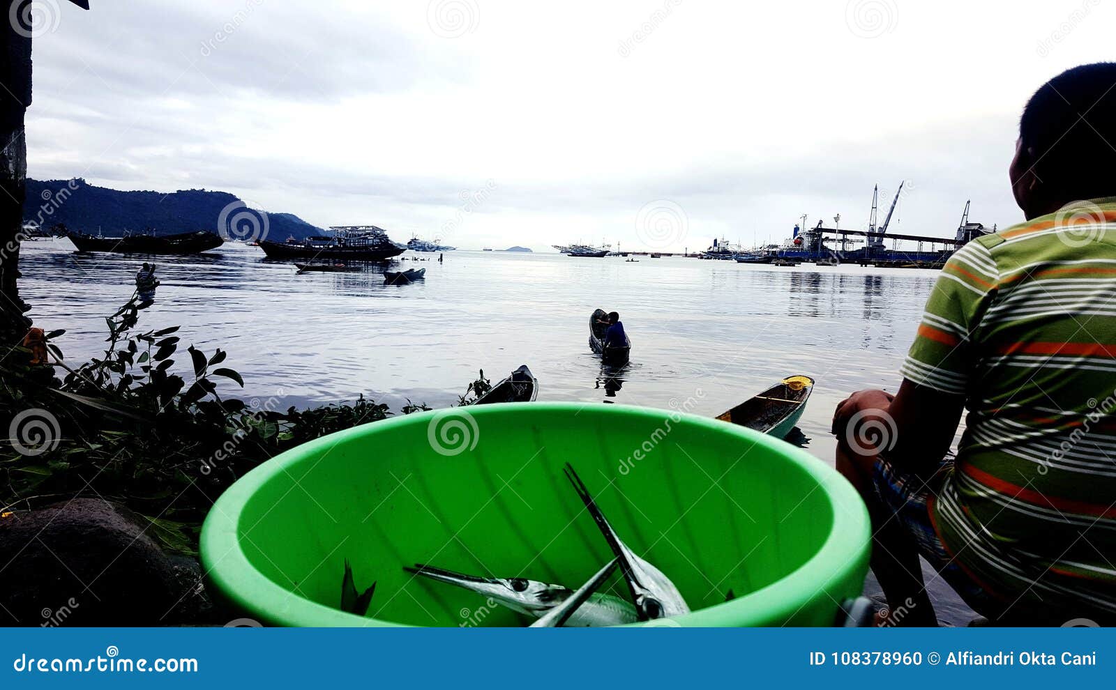 Geting Fish Stock Photos - Free & Royalty-Free Stock Photos from Dreamstime