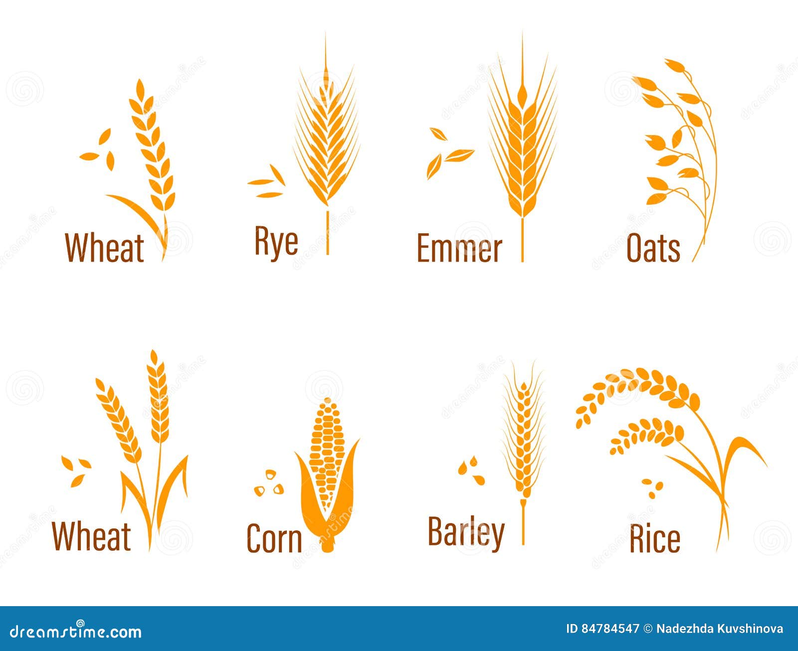 Getreide-Ikonen-Satz vektor abbildung. Illustration von zeichen - 84784547