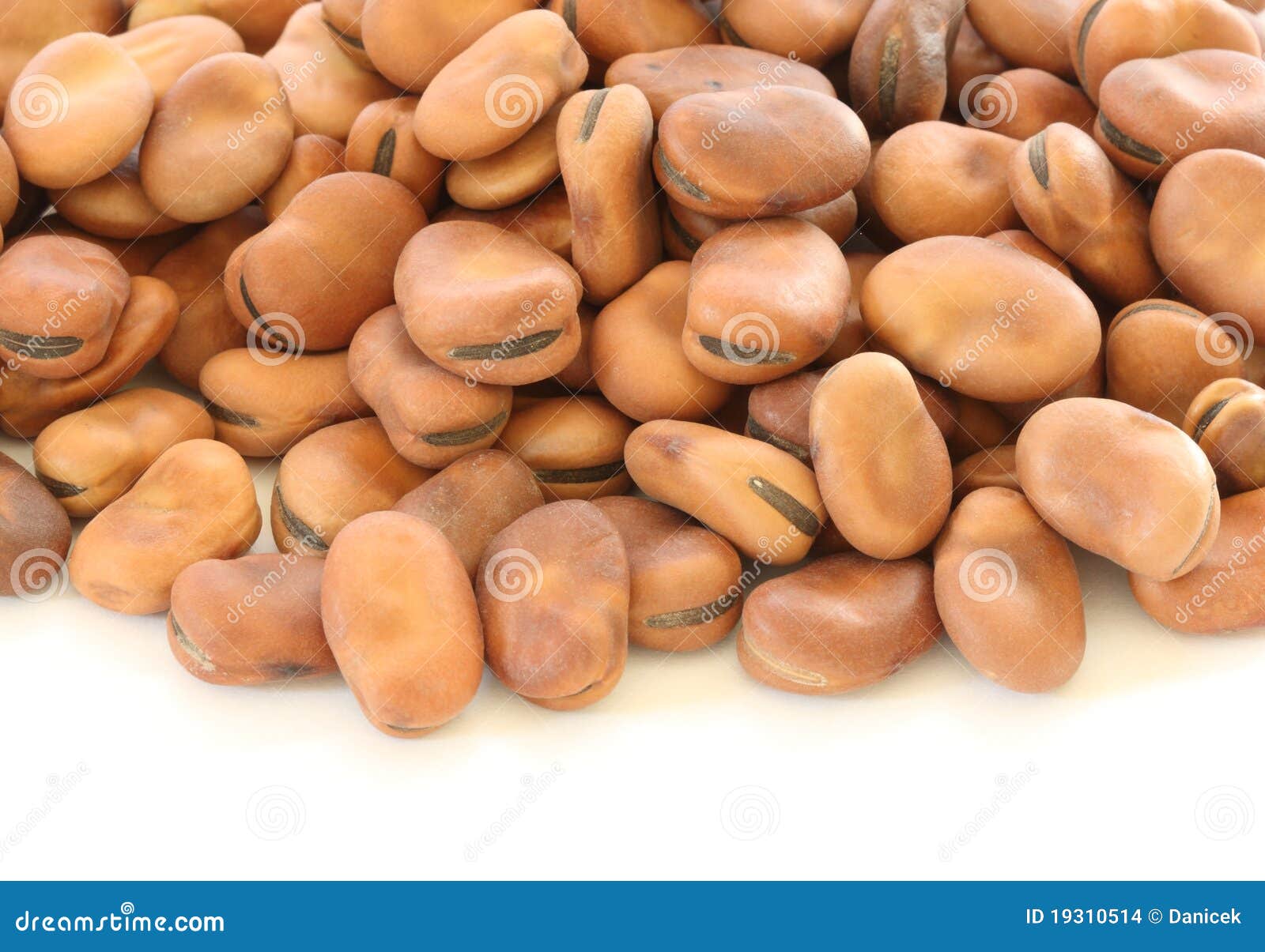 Getrocknete Braune Bohnen Auf Weißem Hintergrund Stockfoto - Bild von ...