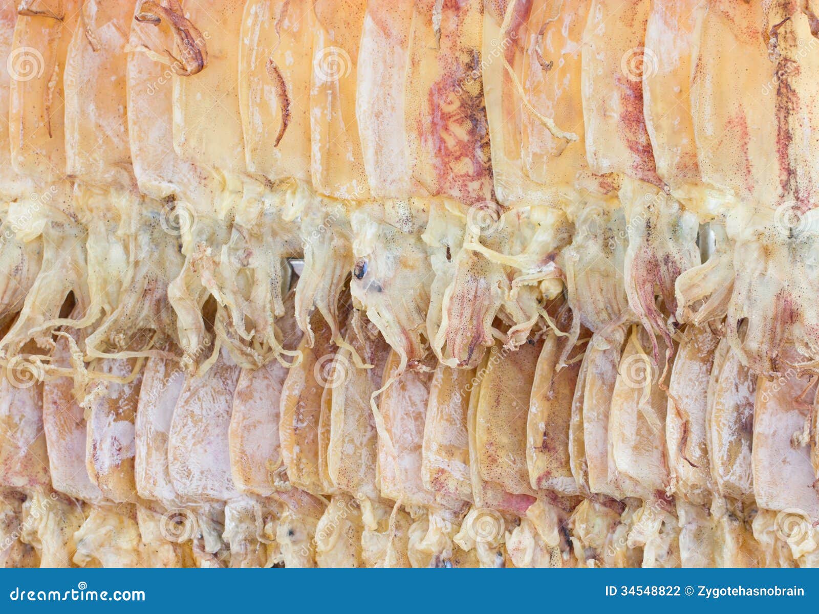 Getrocknete Kalmare. stockfoto. Bild von ozean, proteine - 34548822
