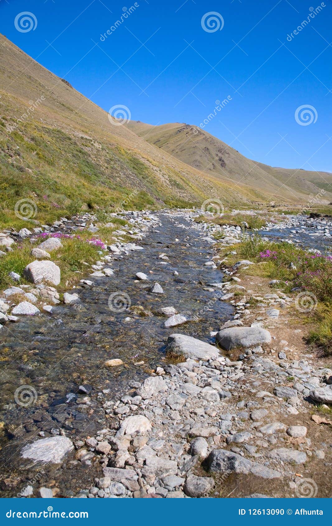 Getting a big river stock photo. Image of rapids, field - 12613090