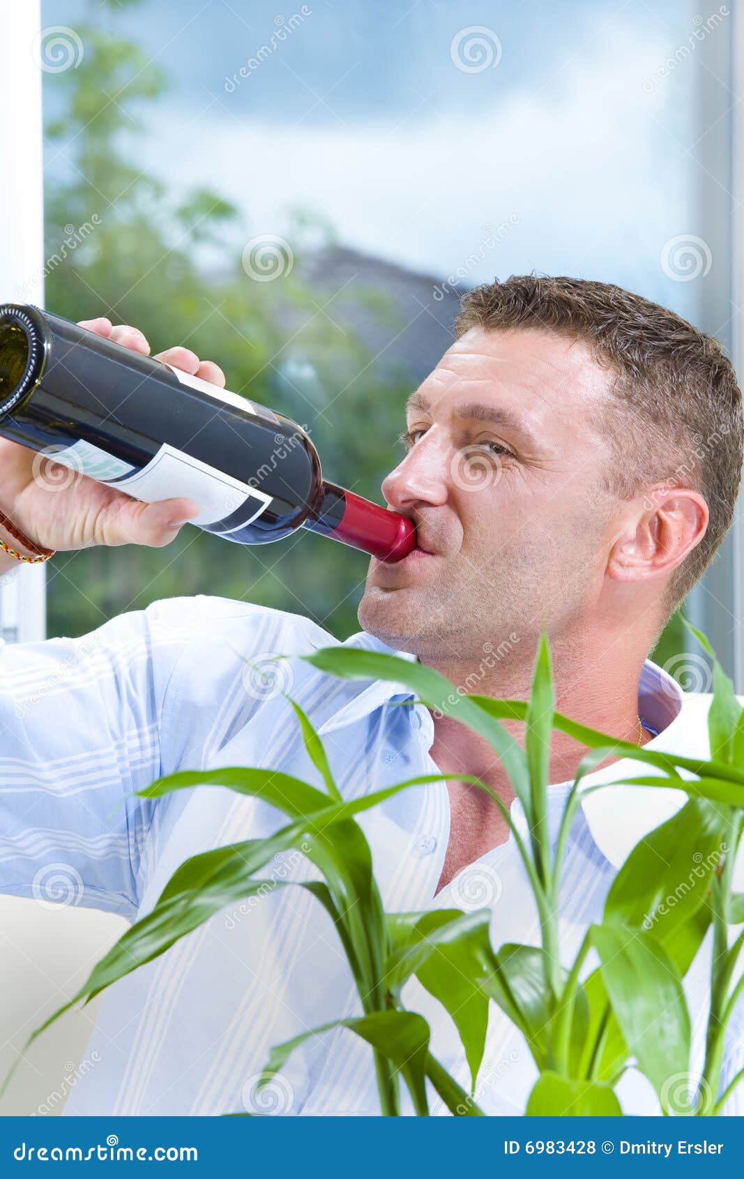 Getting drunk stock photo. Image of drunk, alcohol, careless - 6983428