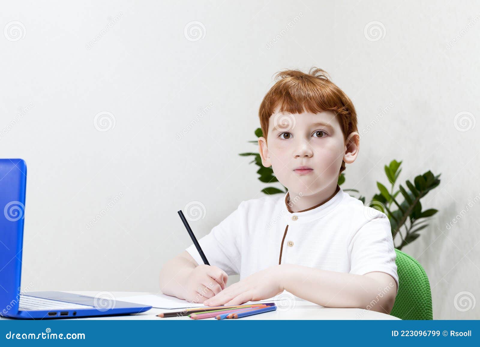 A Boy Studying Over the Internet during an Epidemic Stock Image - Image ...