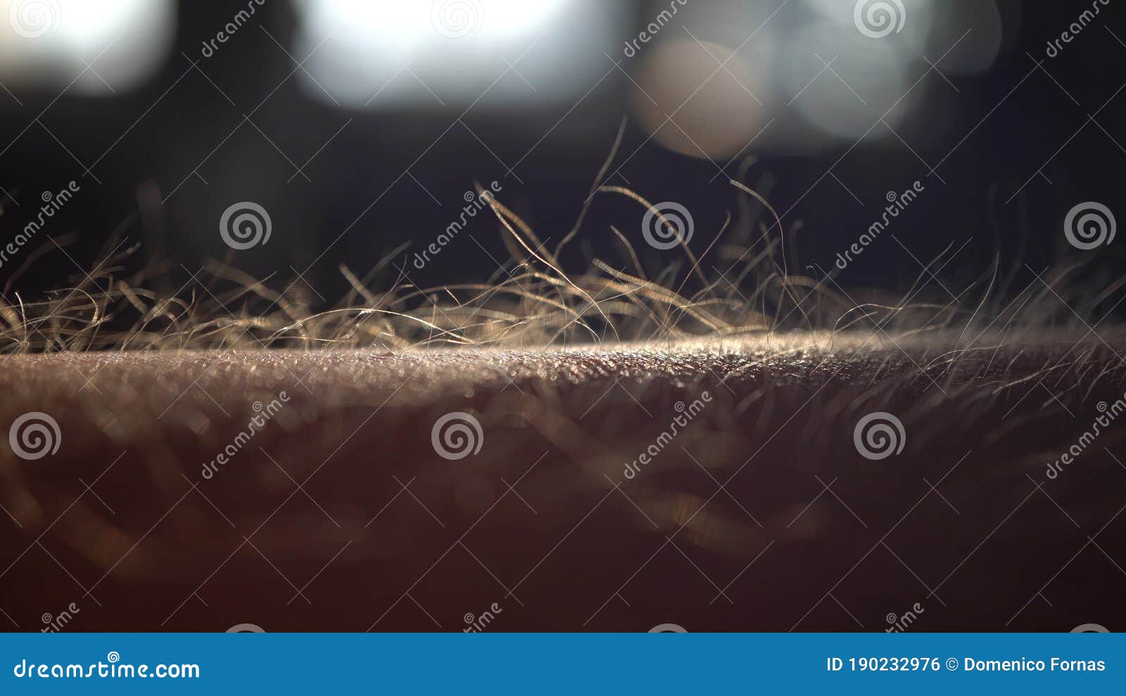 Goose Bumps On Human Skin Stock Photography | CartoonDealer.com #84142742