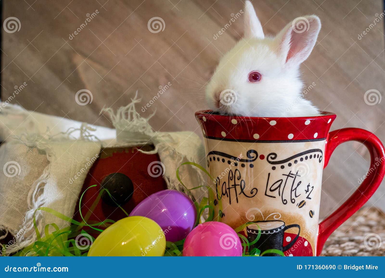 Getting ready for Easter stock photo. Image of vase - 171360690