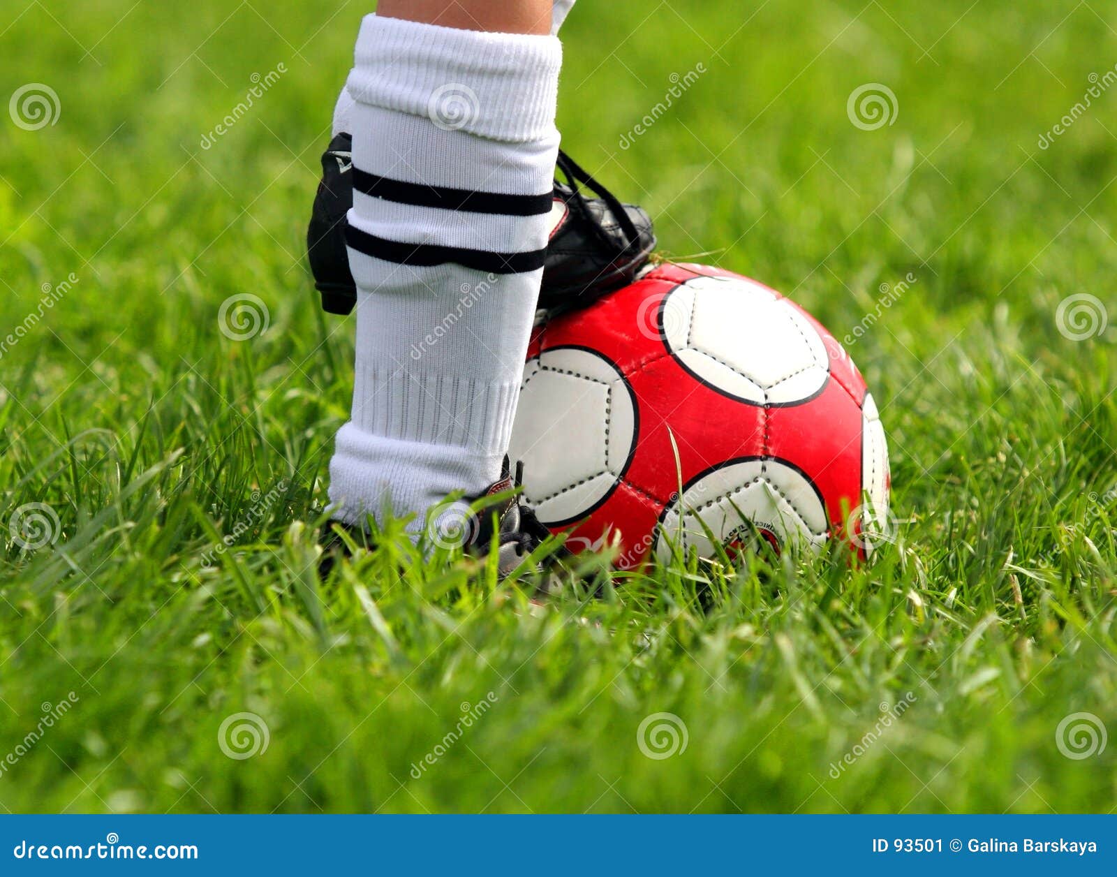 Getting ready for a kick stock image. Image of league, catch - 93501
