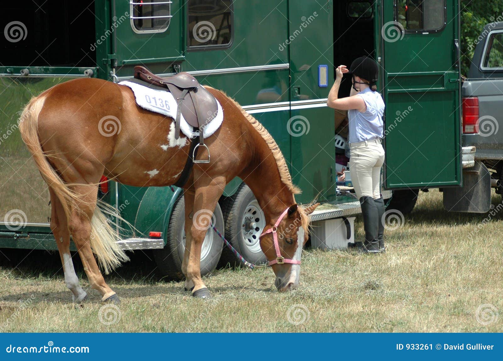 Getting ready to show. stock image. Image of girl, horse - 933261