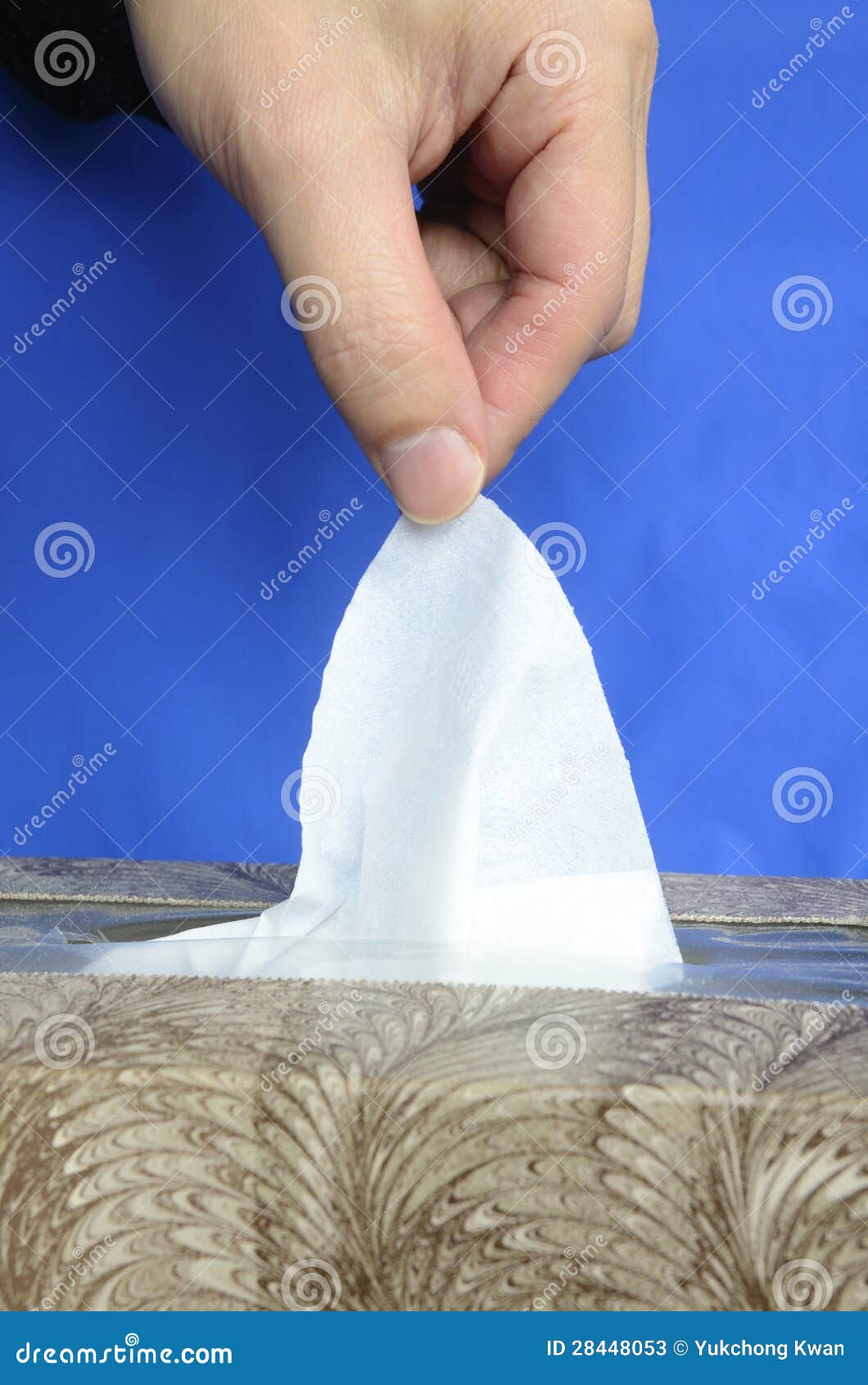 Getting a tissue stock image. Image of clean, fingers - 28448053