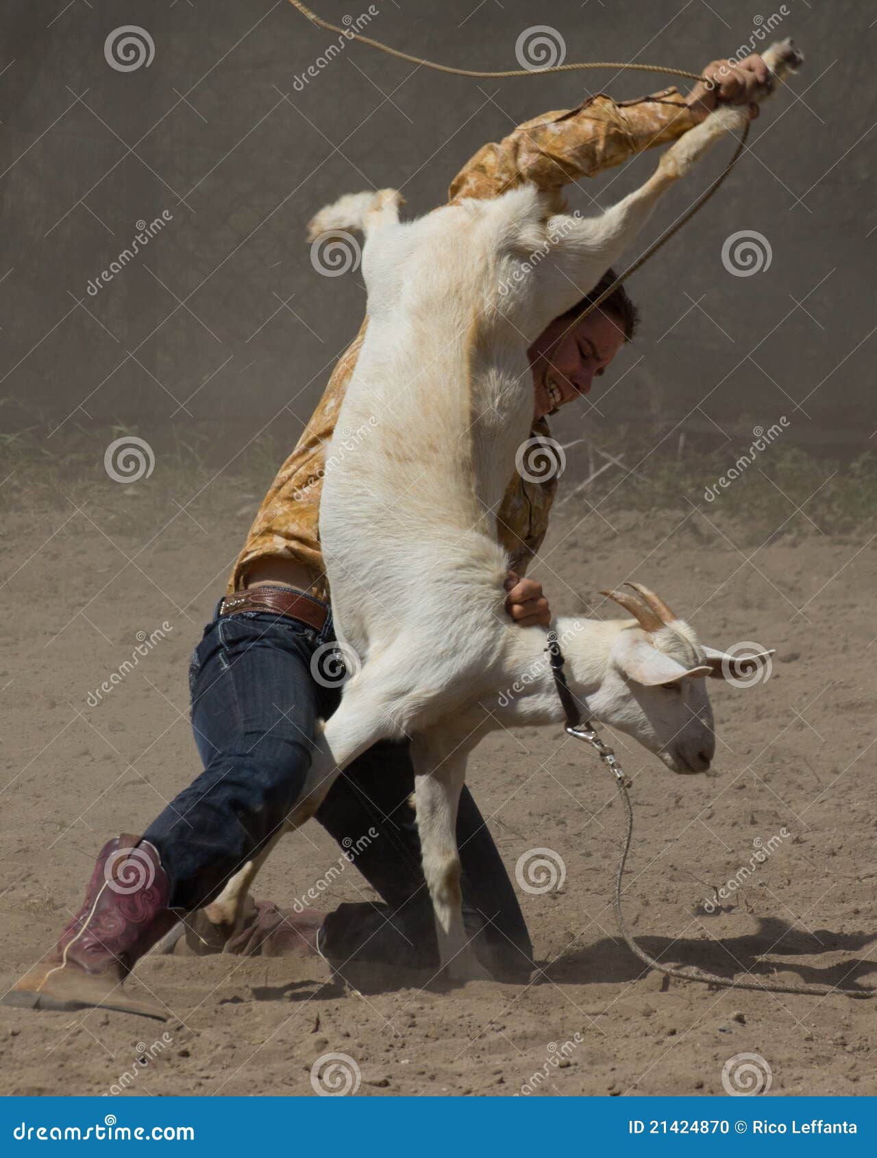 Getting Your goat editorial image. Image of research - 21424870