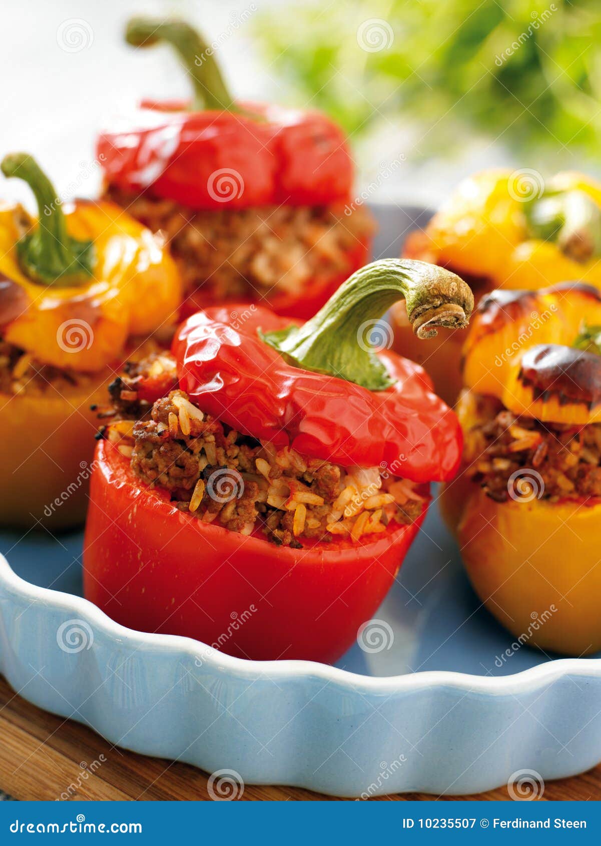 Gevulde peper stock afbeelding. Image of grieks, paprika - 10235507