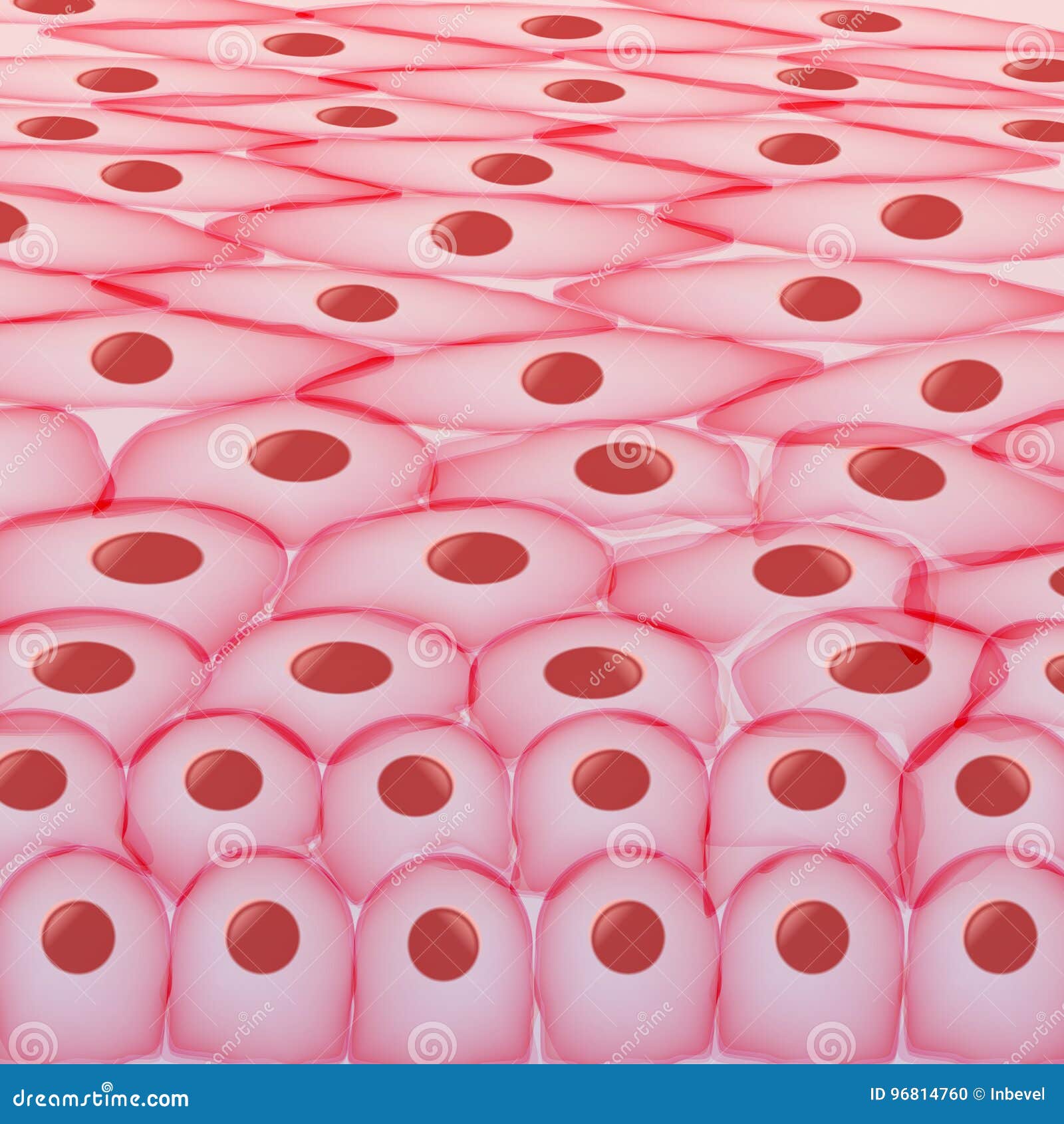 Gewebe - Vektor-Illustration Vektor Abbildung - Illustration von ...