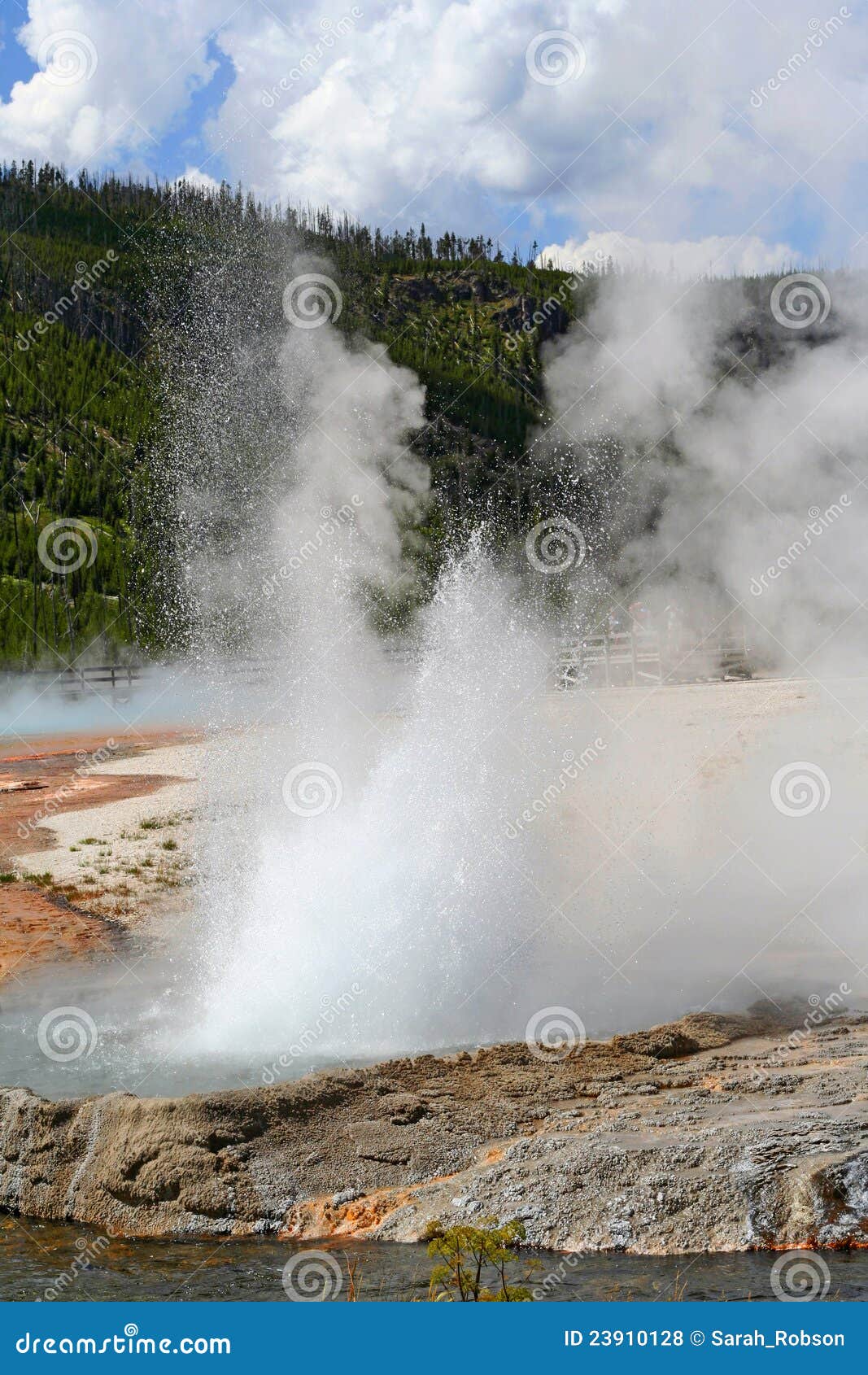 Geyser stock photo. Image of earth, forest, national - 23910128