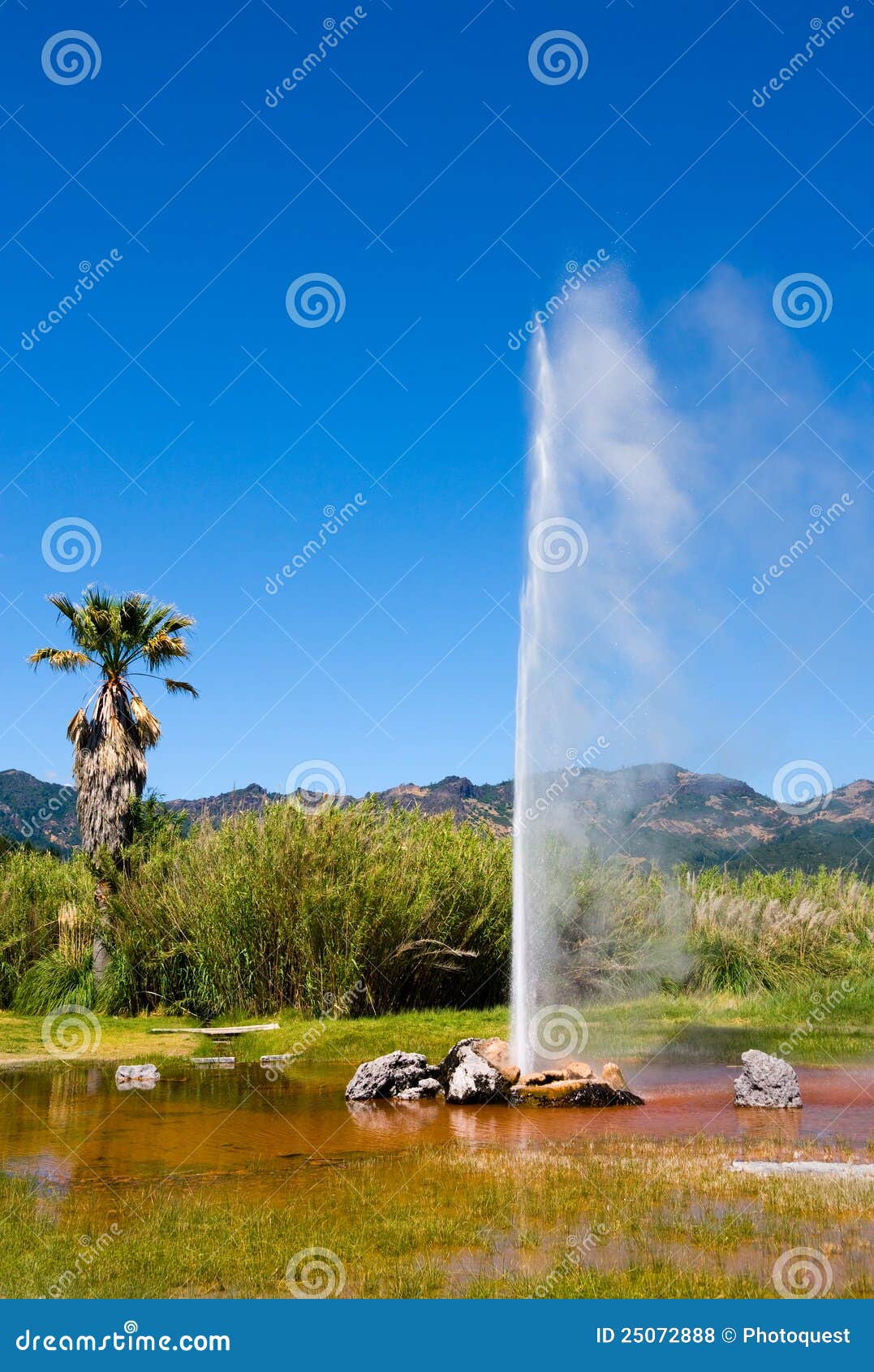 Geyser stock photo. Image of force, earth, landscape - 25072888