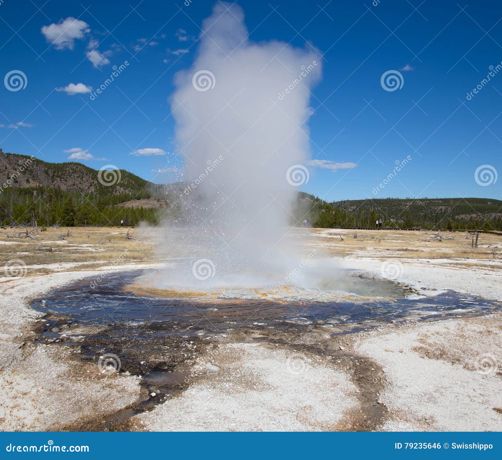 Geyser foto de stock. Imagem de energia, caldeira, pelaria - 79235646