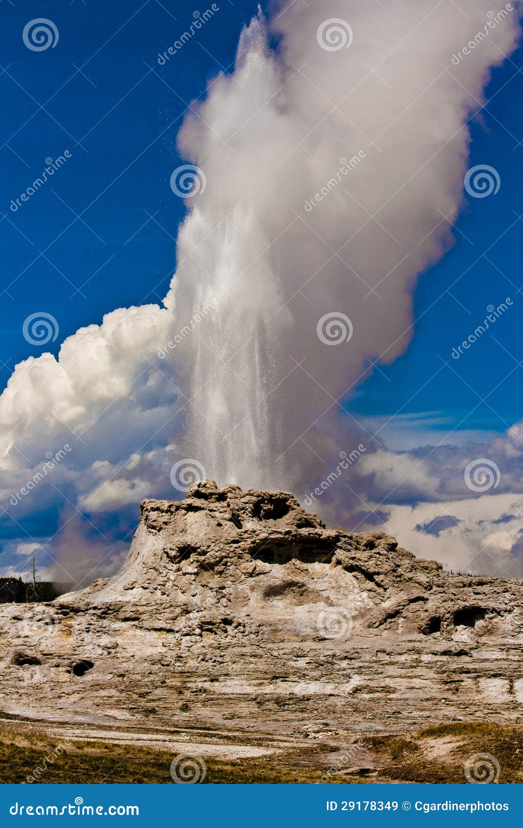 Geyser Emitting Hot Vapour and Water Stock Image - Image of outdoor ...