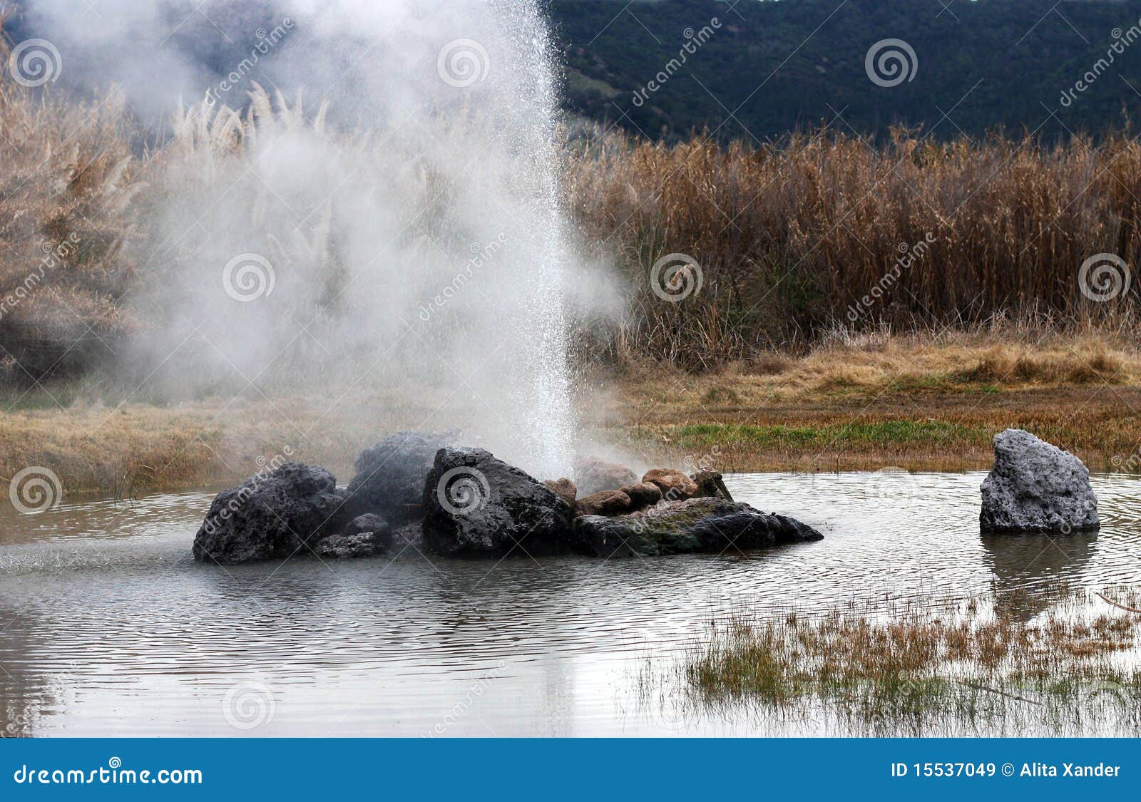 Geyser Eruption stock image. Image of geological, burst - 15537049