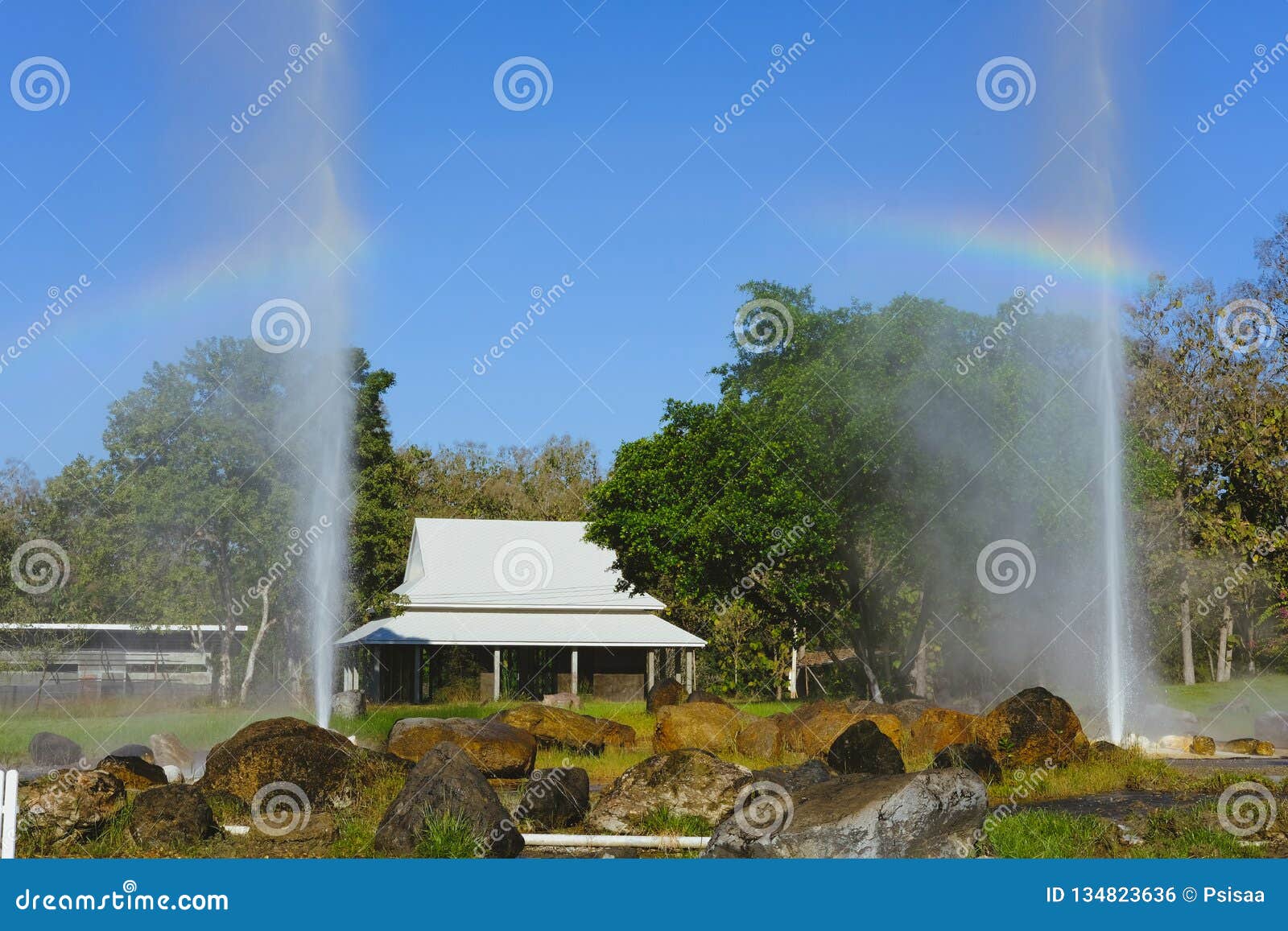 Geyser Eruption. Exploding Hot Spring Geothermal Water Stock Photo ...