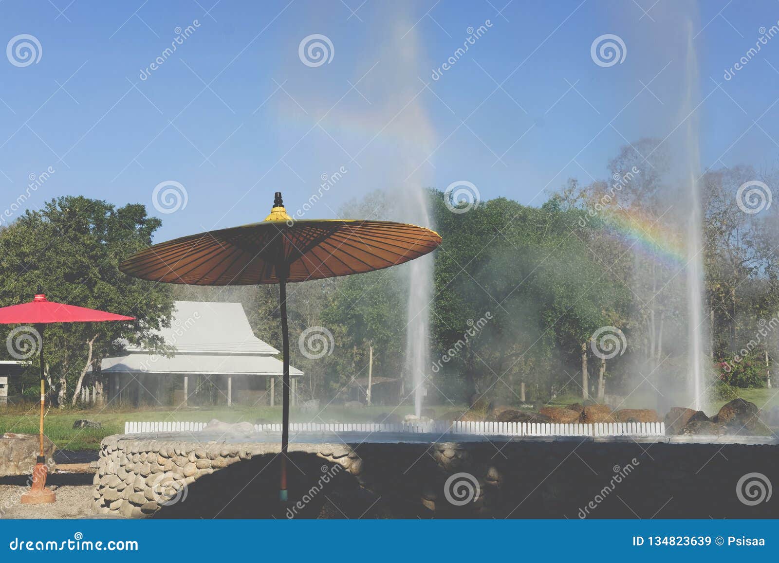 Geyser Eruption. Exploding Hot Spring Geothermal Water Stock Image ...