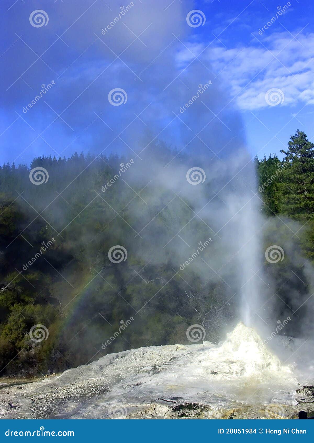 Geyser Eruption, New Zealand Stock Photo - Image of brimstone ...