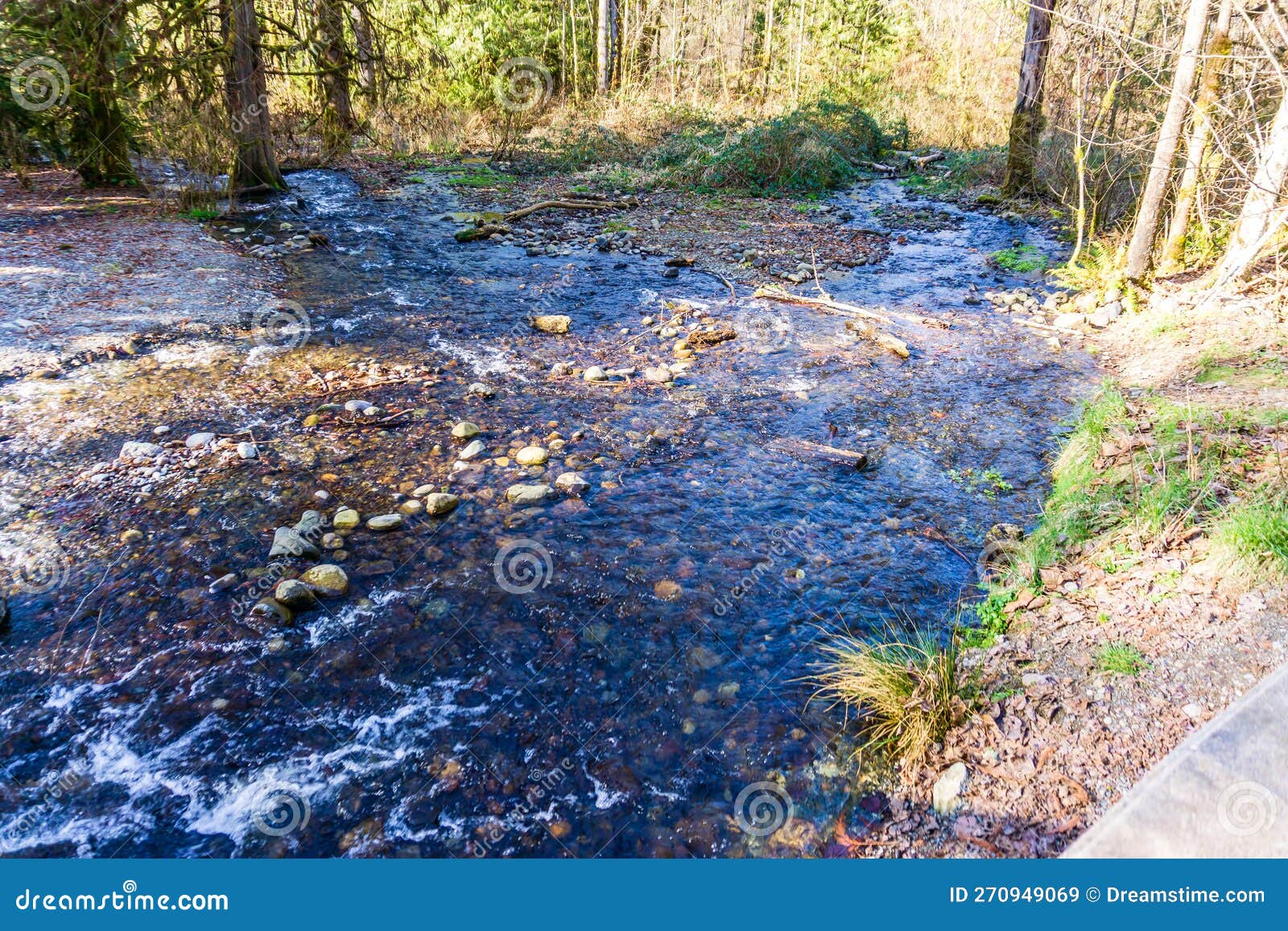 Geyser Park Stream stock image. Image of outdoors, washington - 270949069