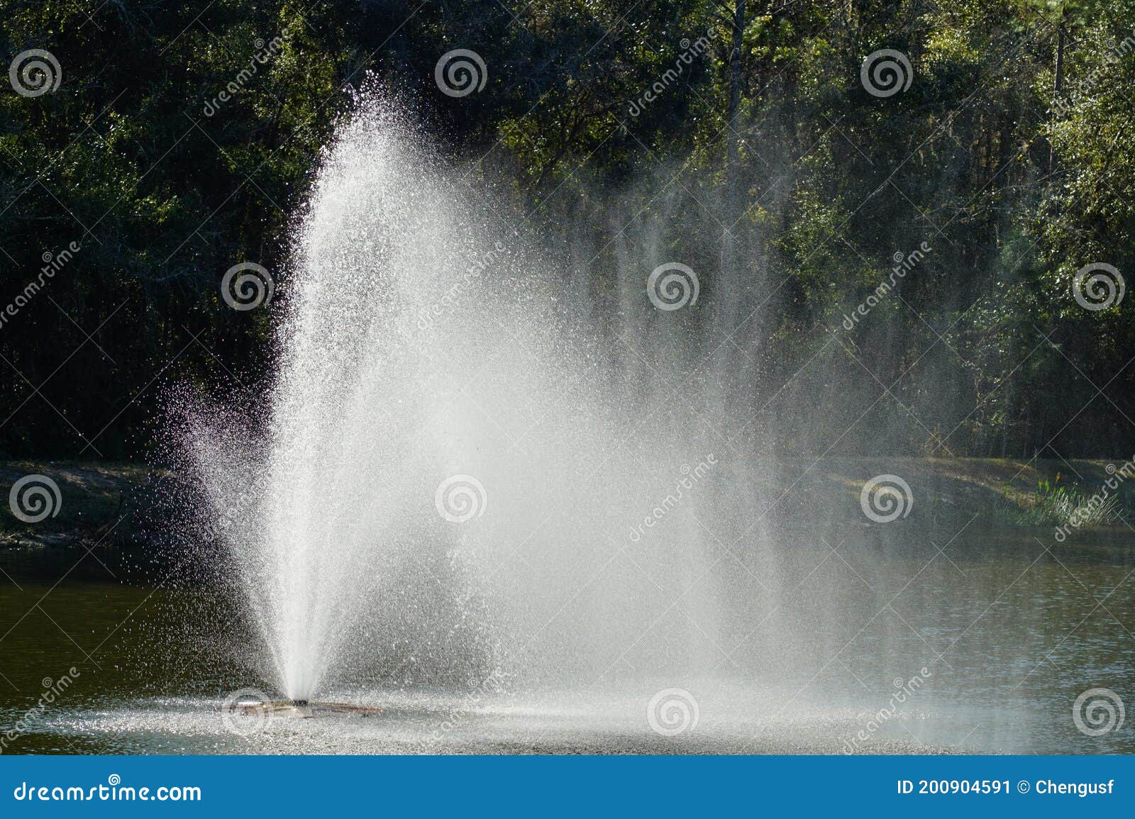 Geyser in a wind stock image. Image of park, nature - 200904591
