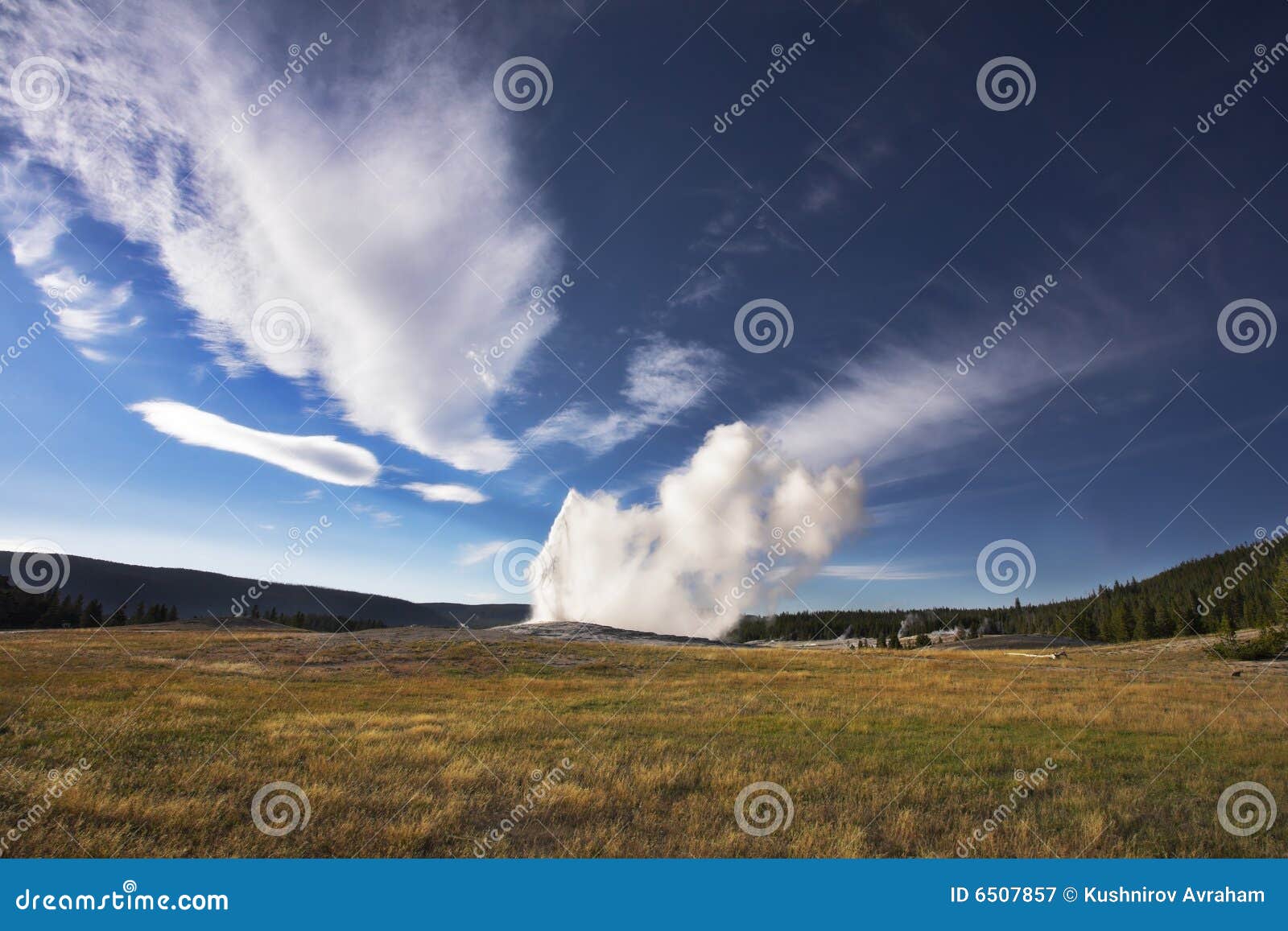 Geyser in Yellowstone National Park Stock Image - Image of steam ...