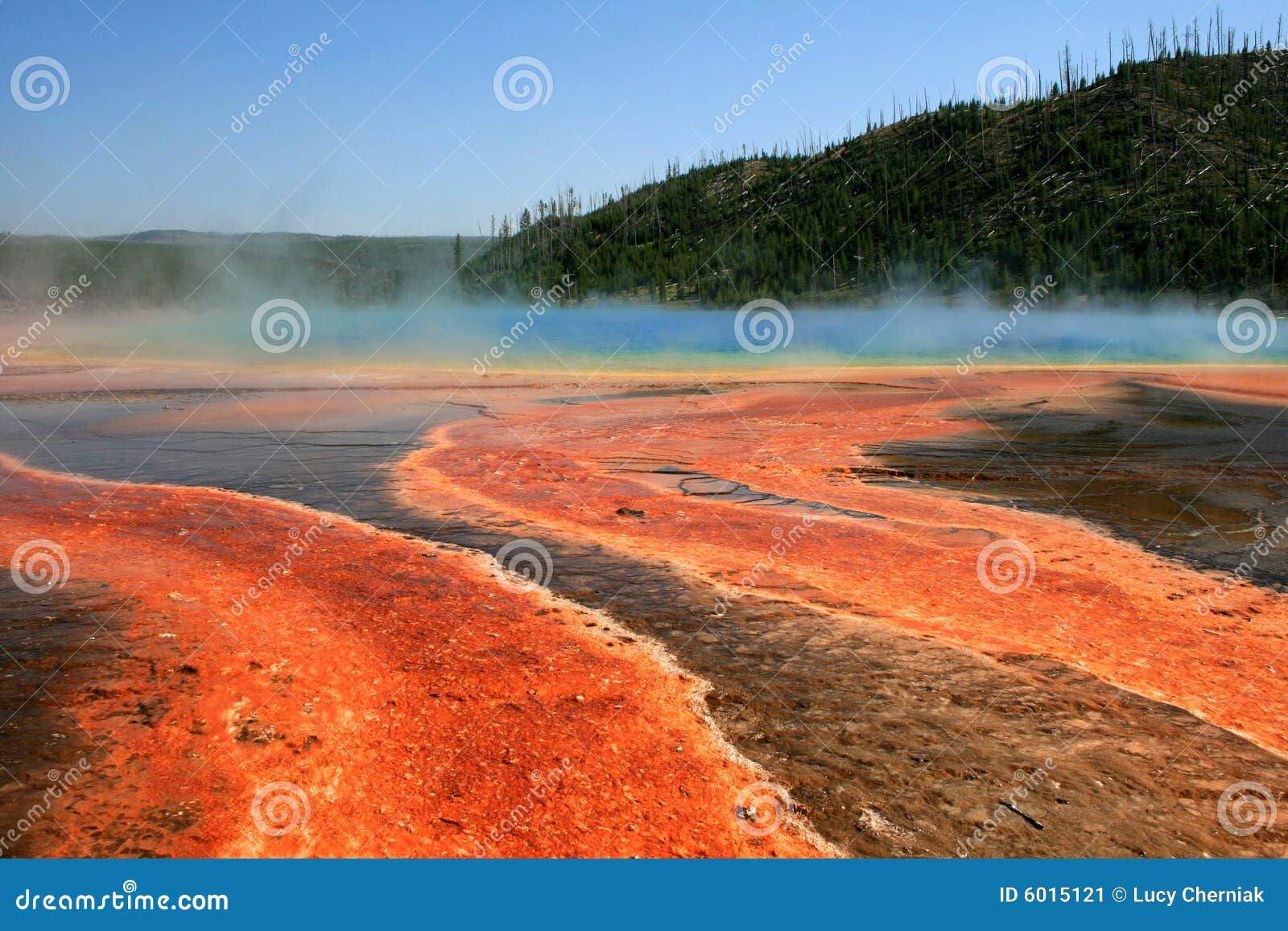 Geysers stock image. Image of steam, geysers, parks, stream - 6015121