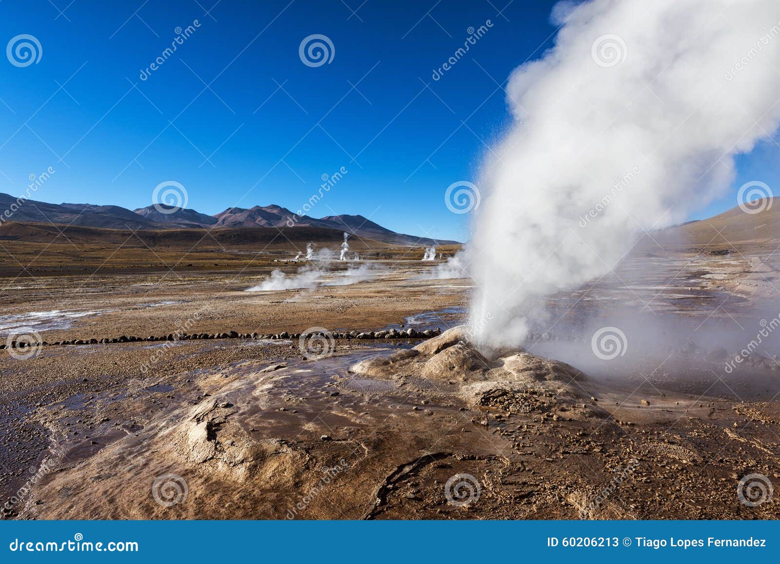 El Tatio, Atacama, Chile. Active Geysers Comes Out Of The Ground. Hot ...