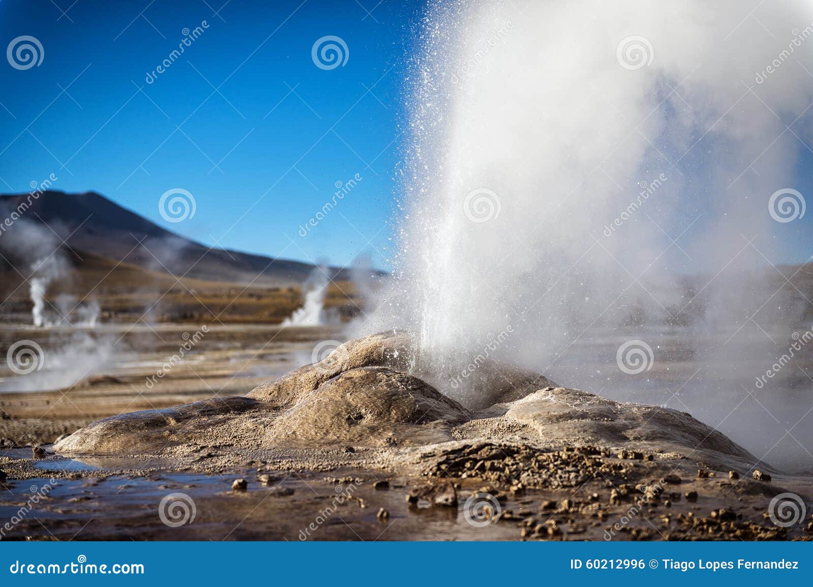 El Tatio, Atacama, Chile. Active Geysers Comes Out Of The Ground. Hot ...