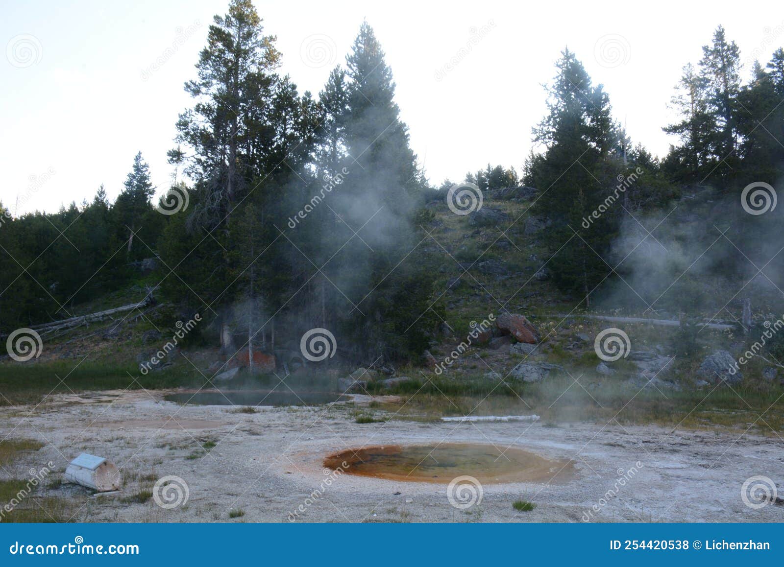 Geysers in Yellowstone National Park Stock Photo - Image of watercourse ...