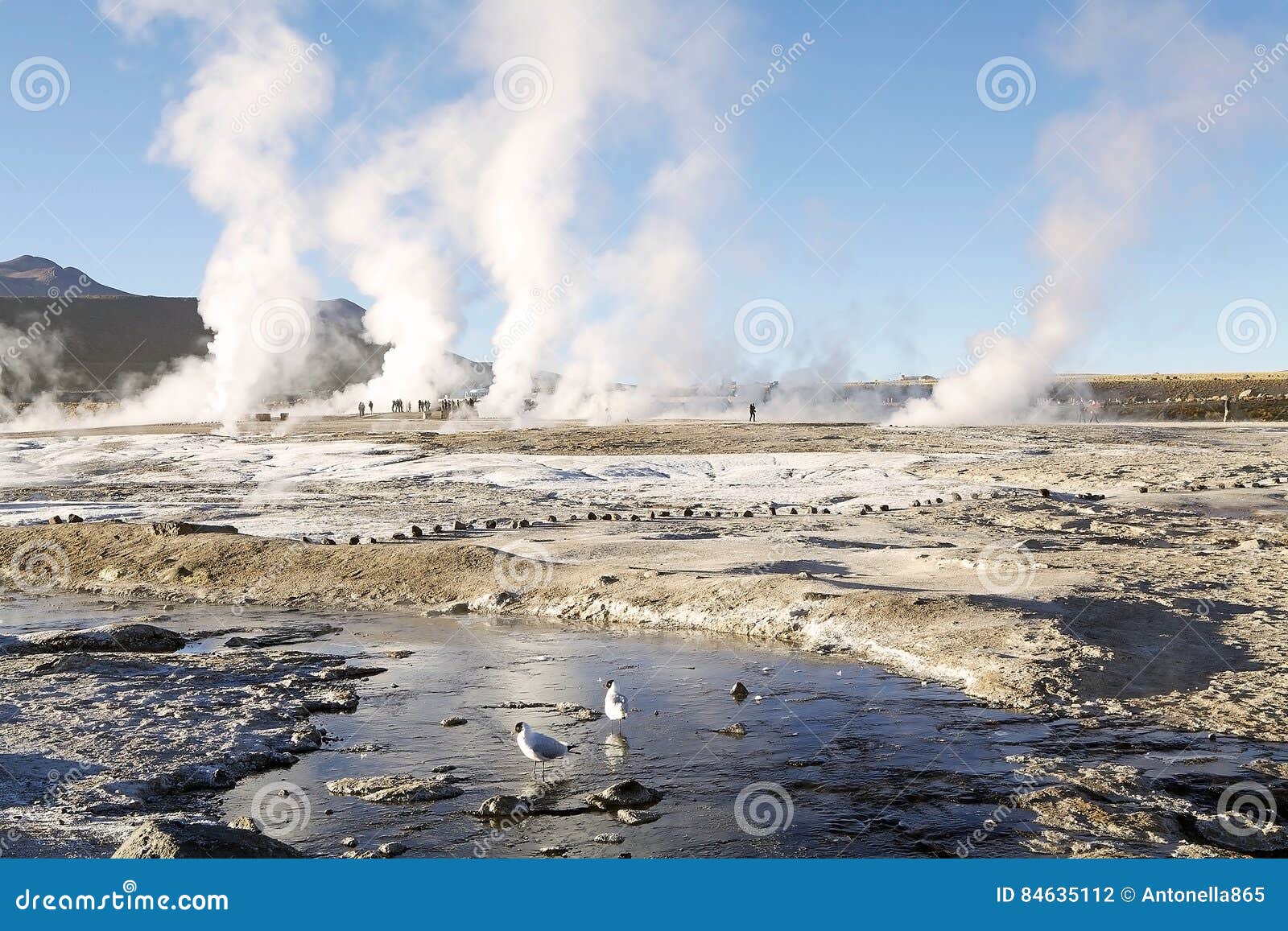 Geysire EL Tatio, Chile stockfoto. Bild von amerikanisch - 84635112