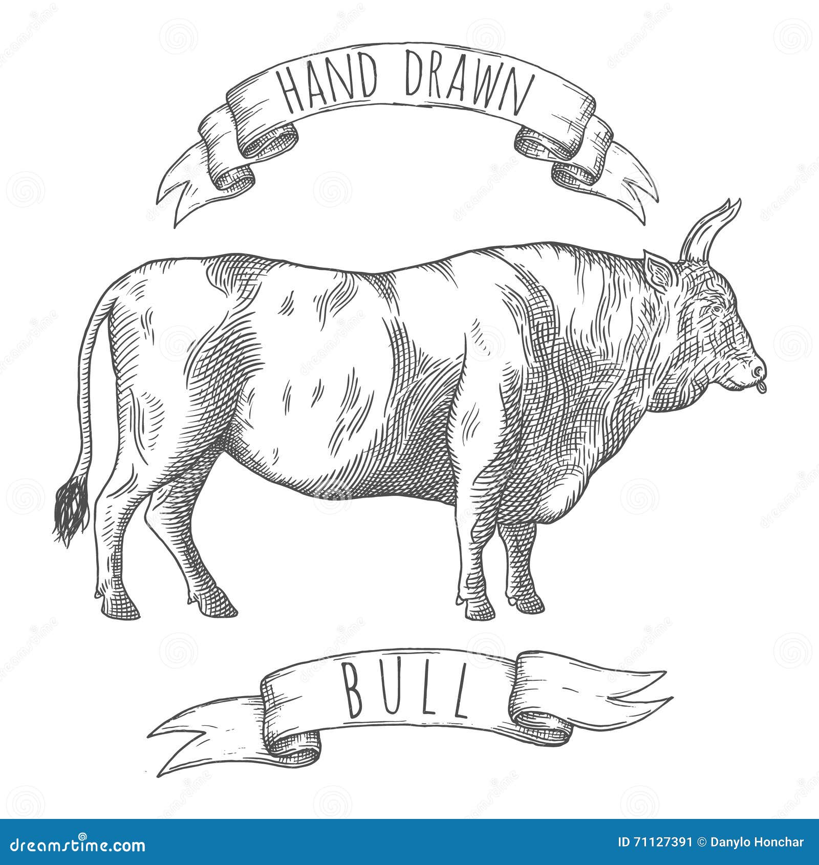 Gezeichnete Illustration Stiers Hand Vektor Abbildung - Illustration ...