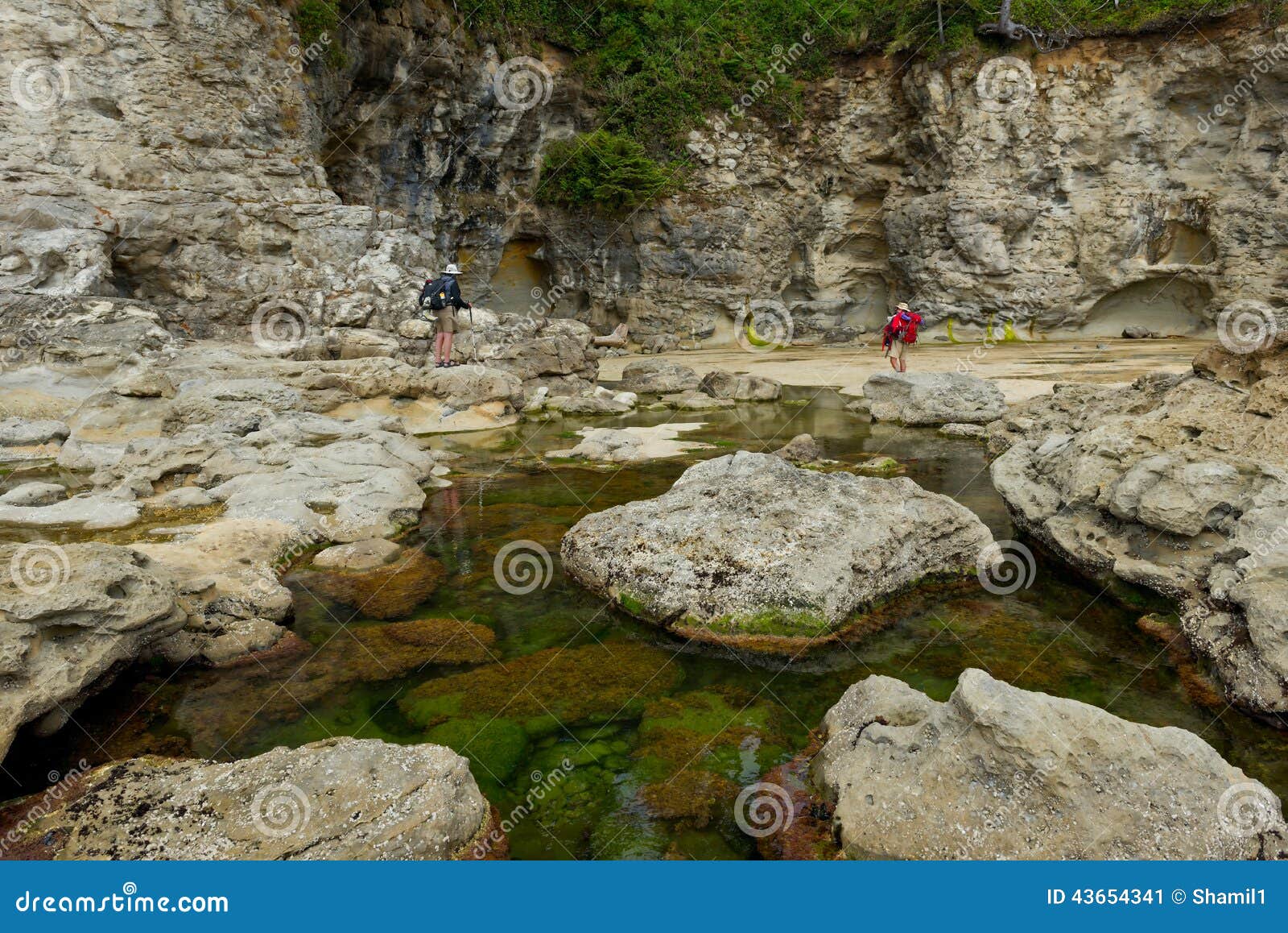 Gezeiten- Pools am Botanischen Strand Stockbild - Bild von himmel ...