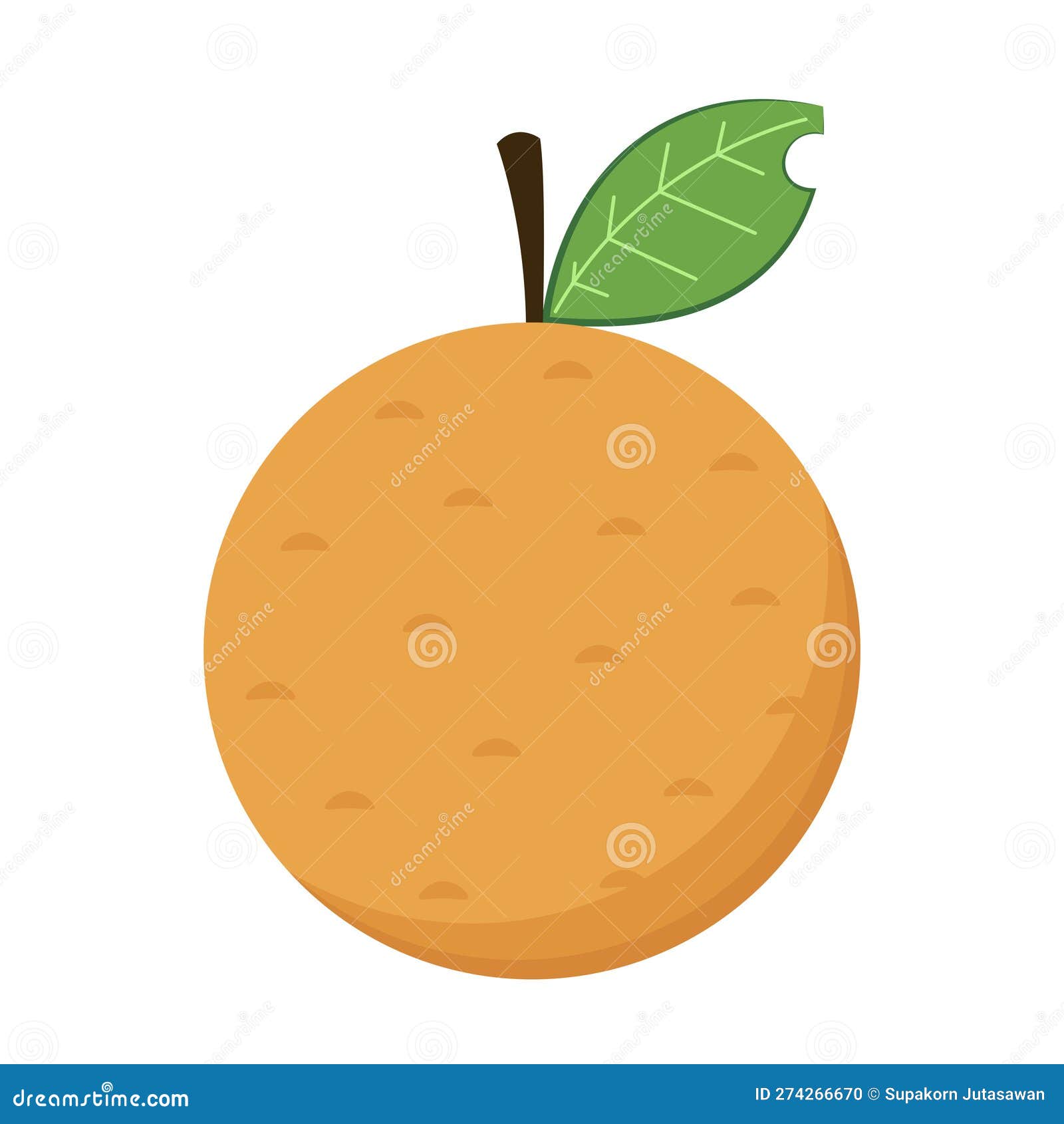 Longan Vector. Summer Tropical Fruits for Healthy Lifestyle Stock ...