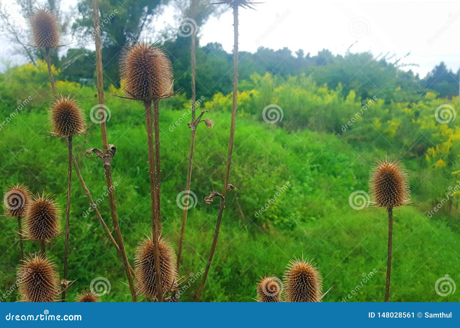 Gfsdfsd Ds Gsdg Ftwes Sdr Dsf Dsf Fdsf Ds Dsf Sdf Стоковое Изображение ...