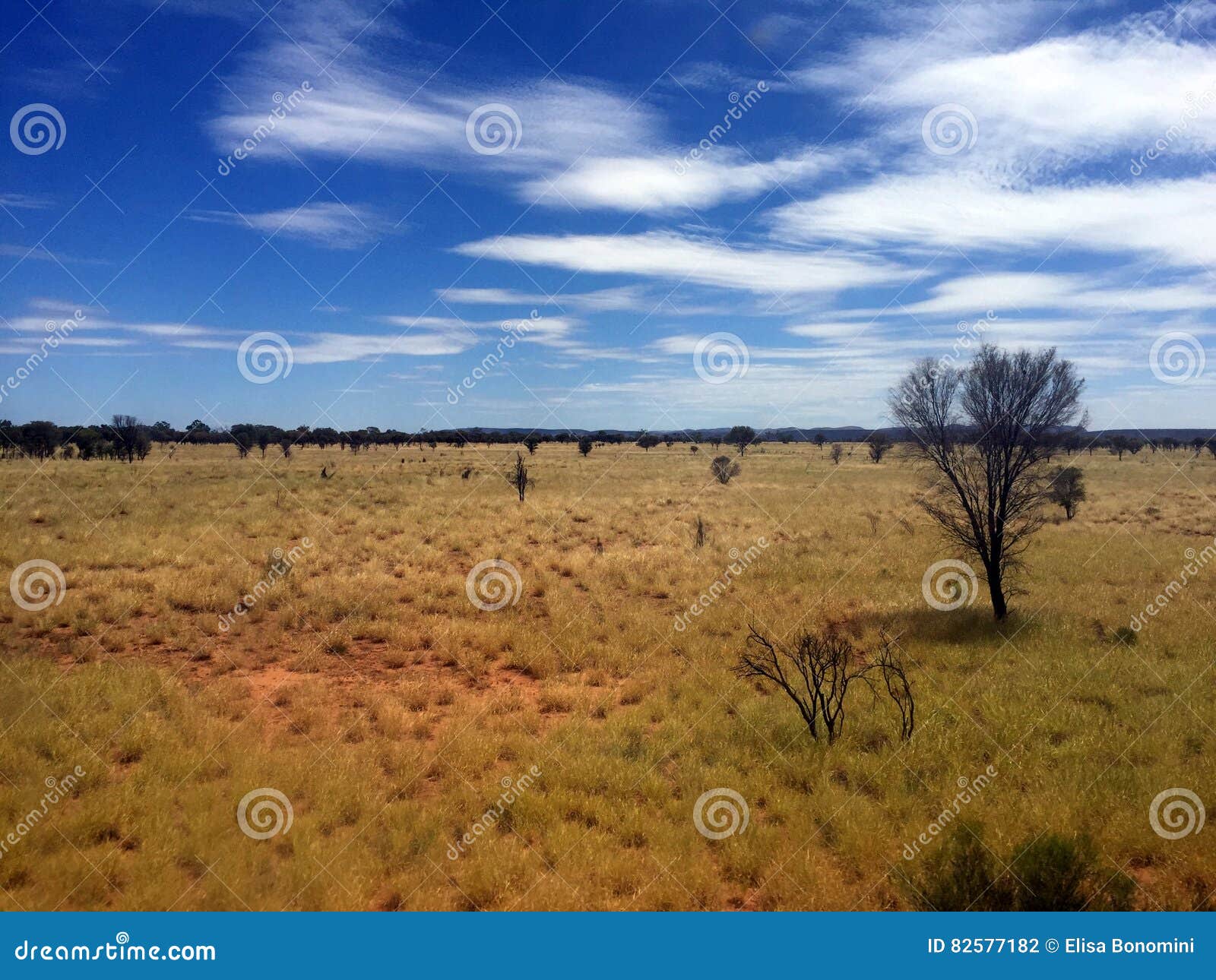 On the Ghan, Looking Out of the Window Stock Photo - Image of bush ...