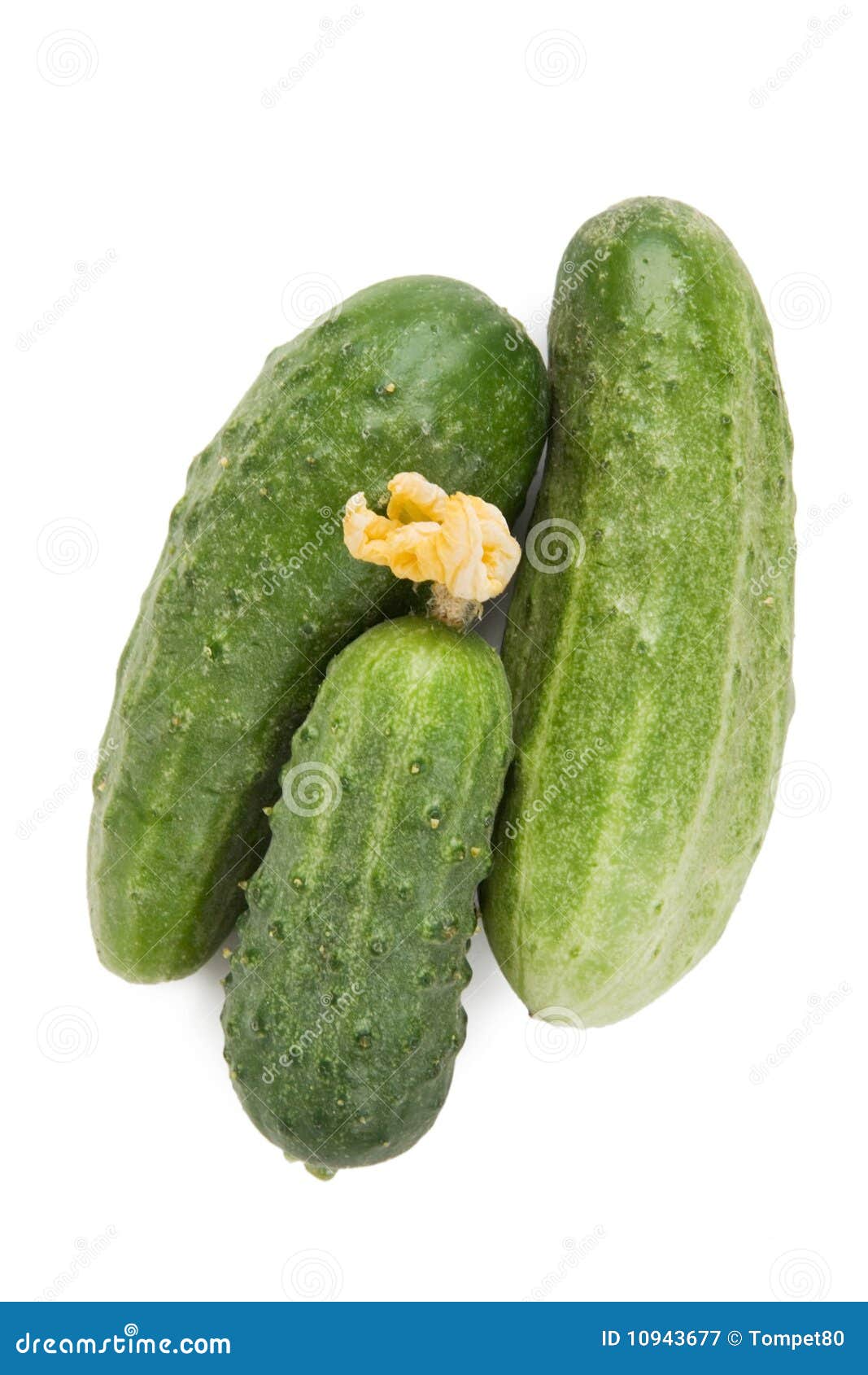 Gherkin. stock image. Image of protein, herb, market - 10943677