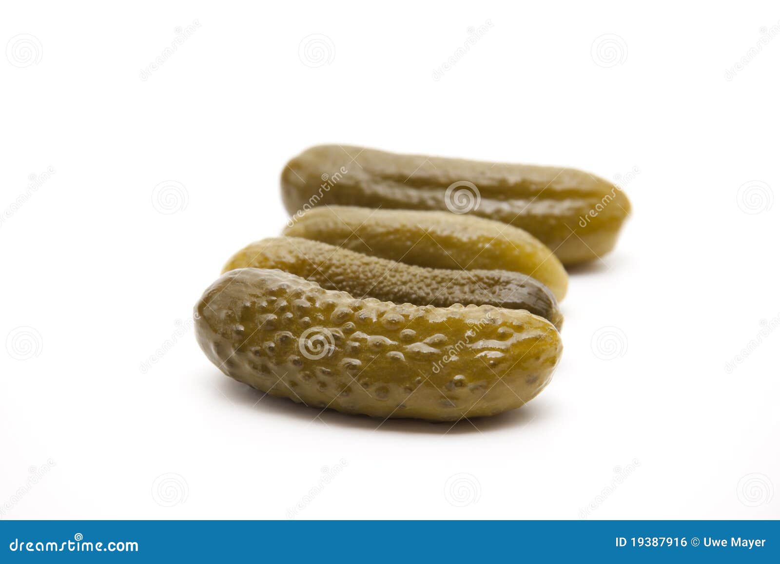 Gherkin stock photo. Image of vegetable, gherkin, cucumber - 19387916