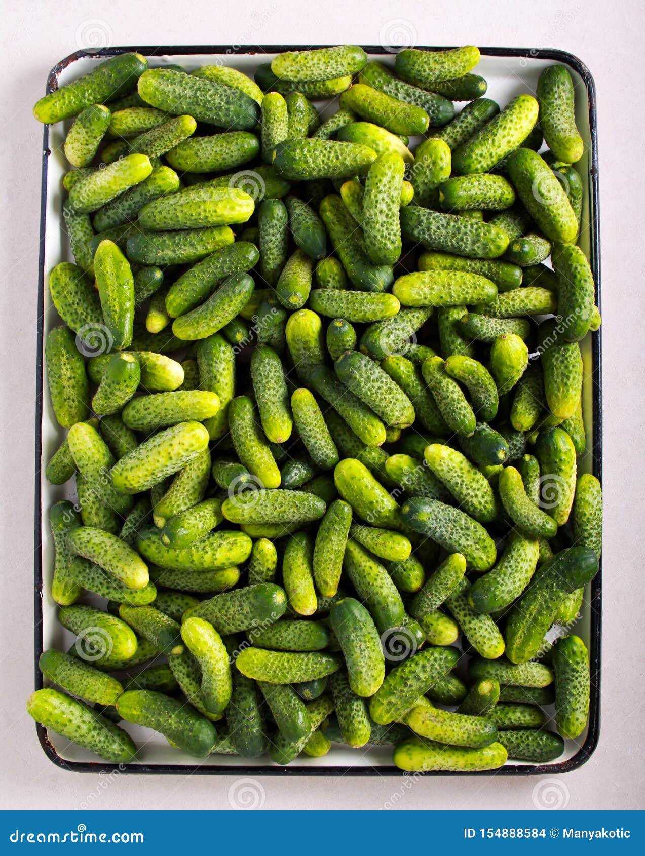Gherkin cucumbers stock photo. Image of organic, copyspace - 154888584