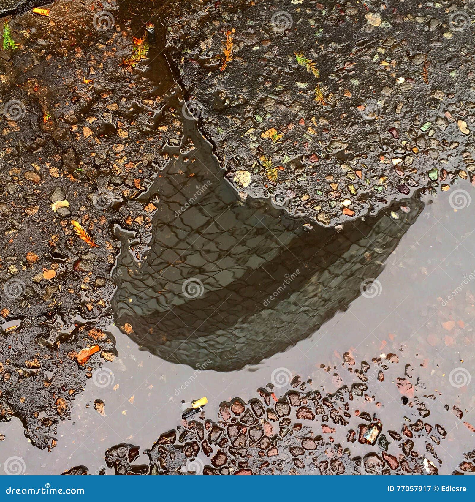 Gherkin stock image. Image of london, gherkin, water - 77057917