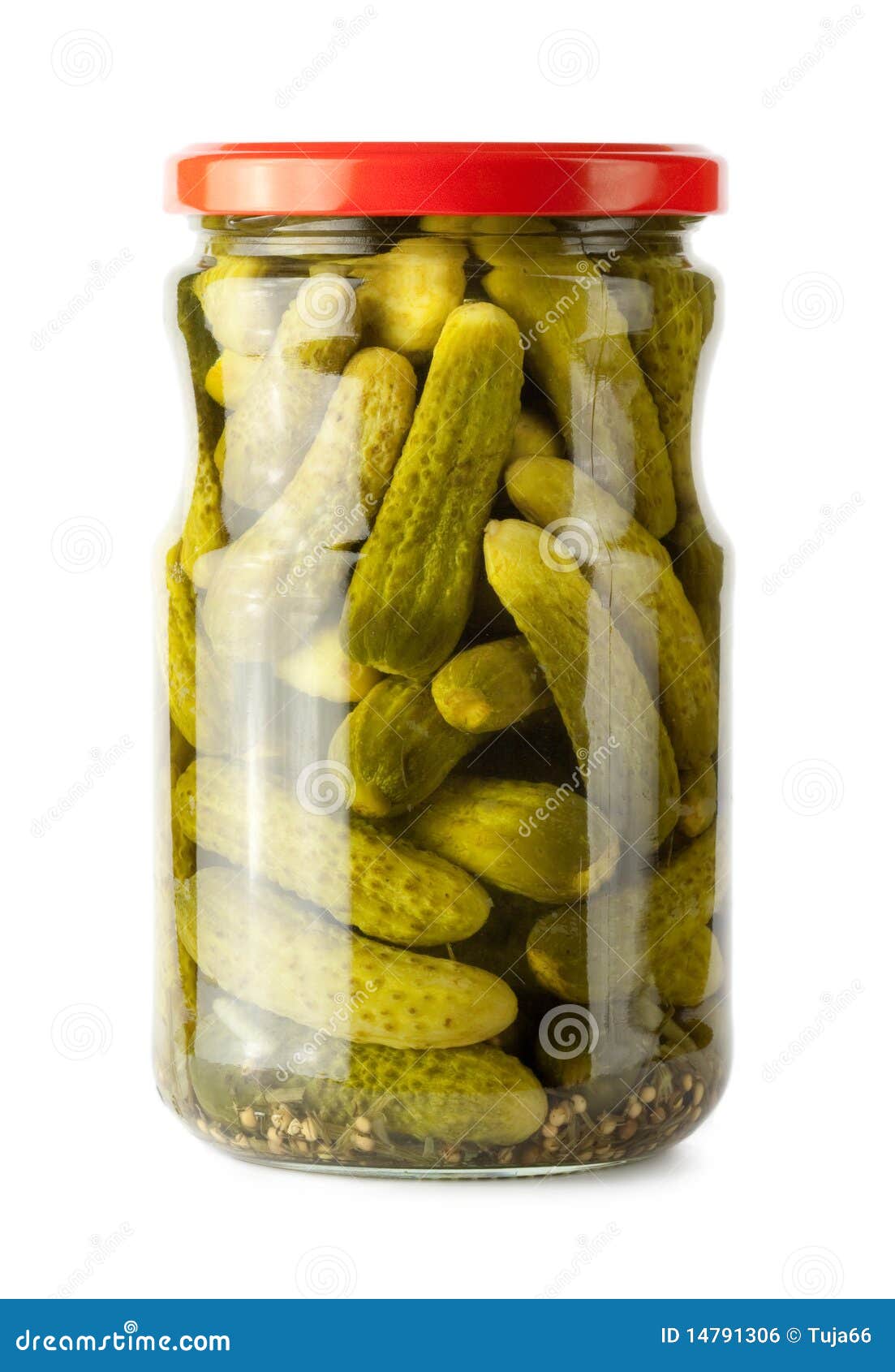 Gherkins stock photo. Image of healthy, objects, pickles - 14791306