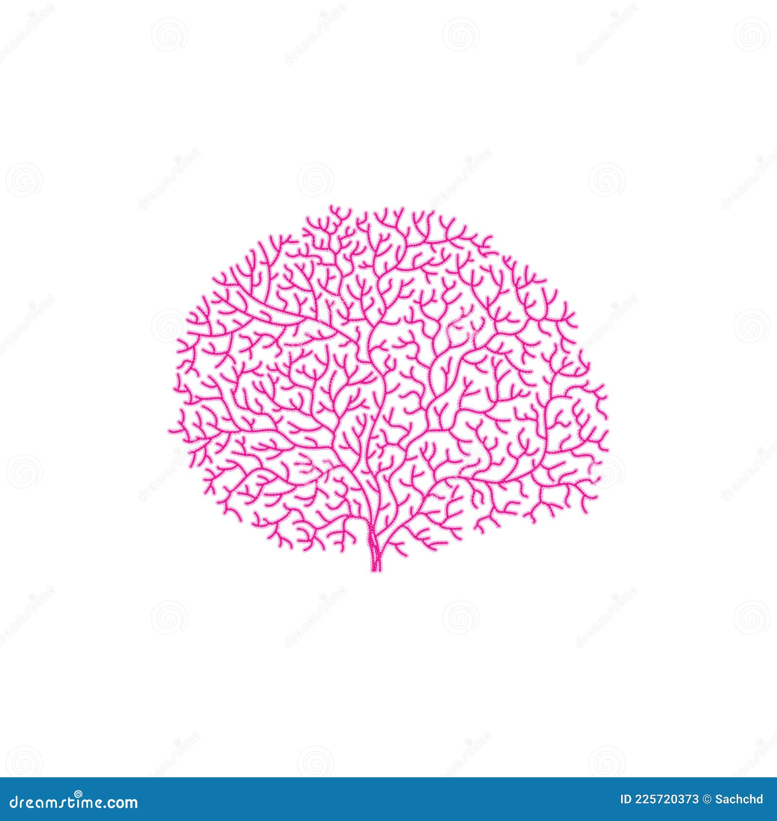 Acropora Coral Vector Illustration.Drawing Of Sea Polyp On White ...