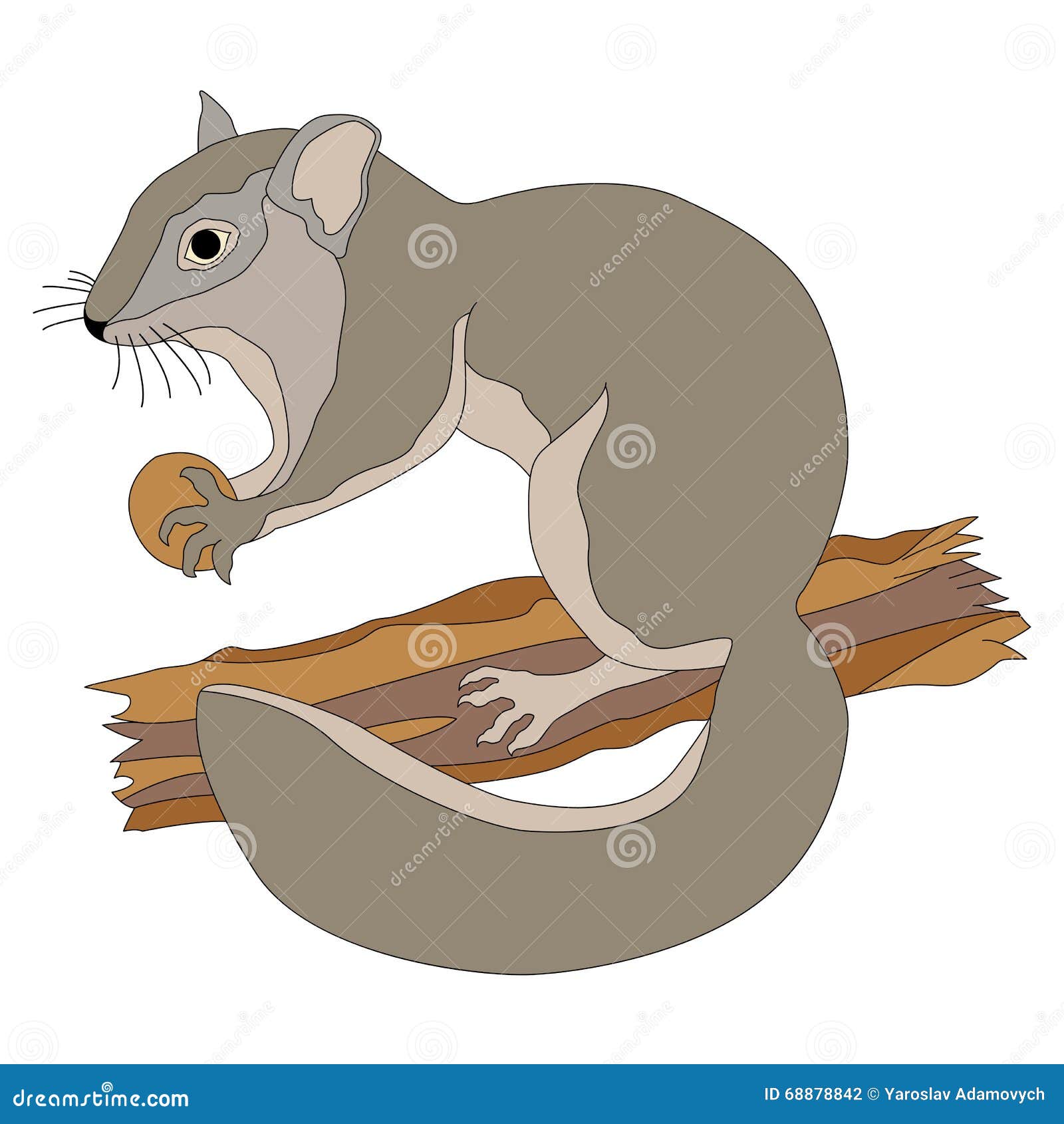 Ghiro sul ramo illustrazione vettoriale. Illustrazione di ghianda ...