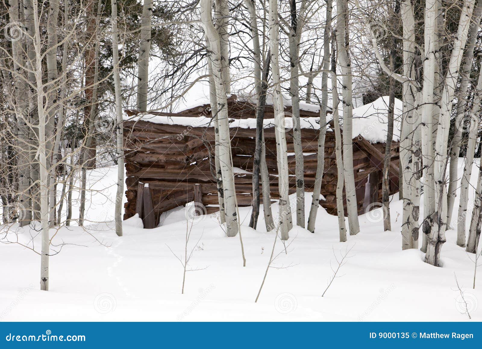 Ghost Cabin in Snow stock image. Image of cold, aspen - 9000135