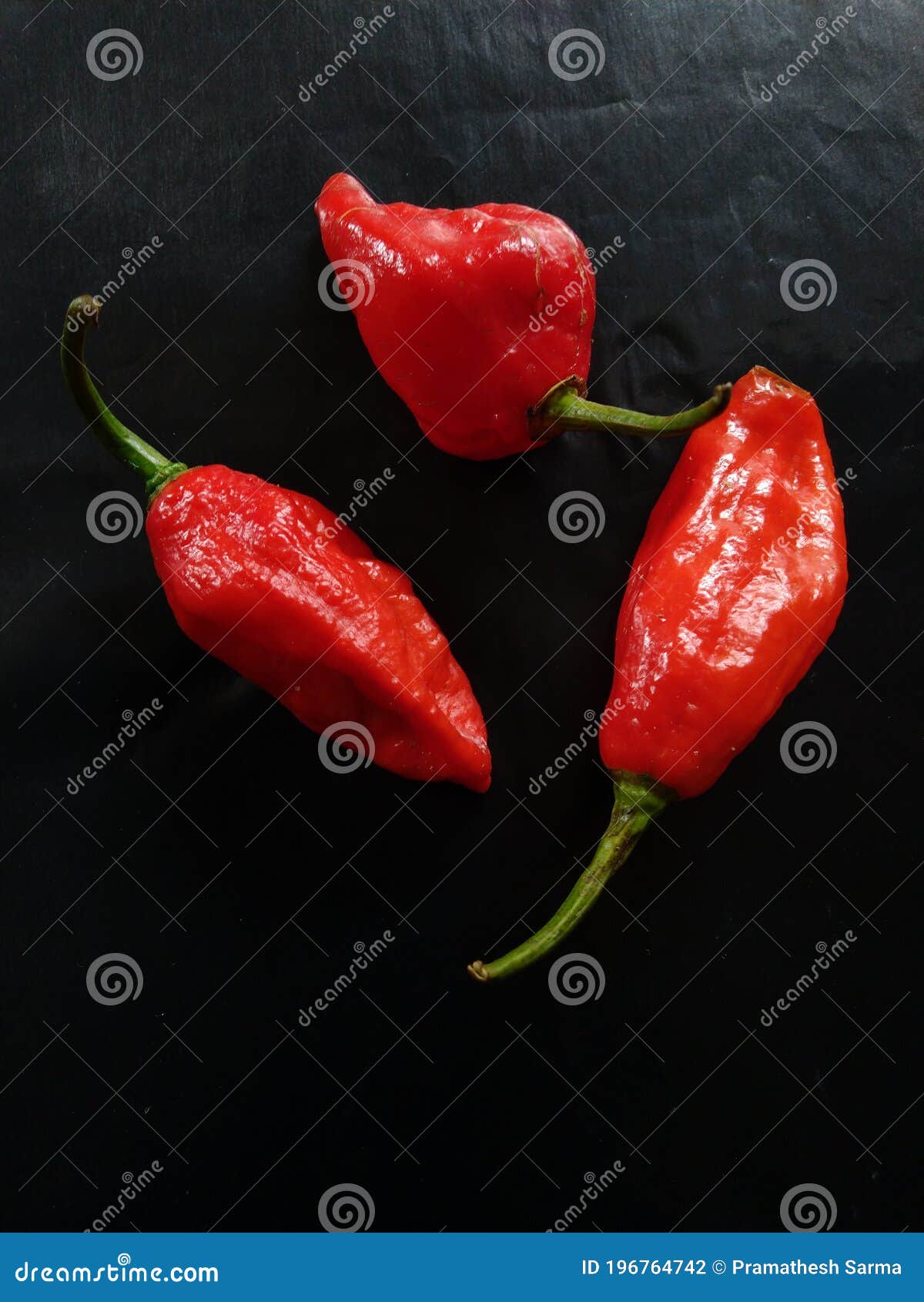 Ghost Chilli The Hottest Chilli Pepper Stock Photo | CartoonDealer.com ...