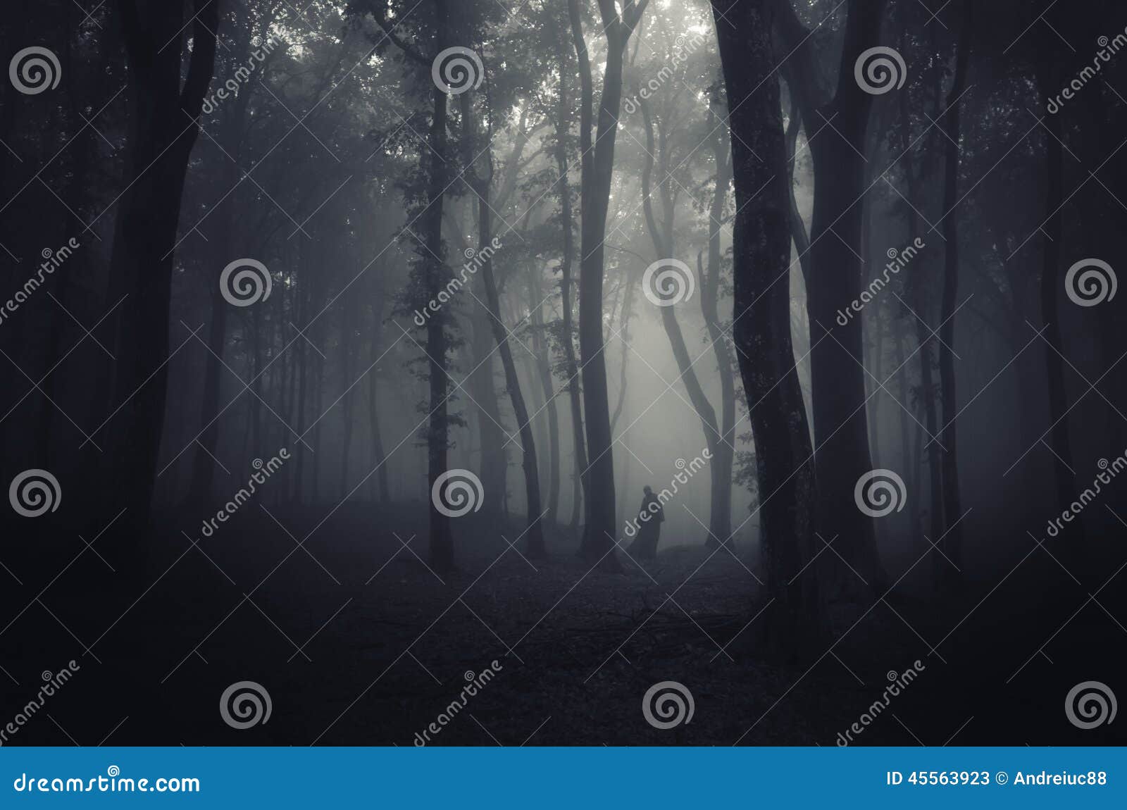 Ghost in a Dark Scary Mysterious Forest on Halloween Stock Image ...