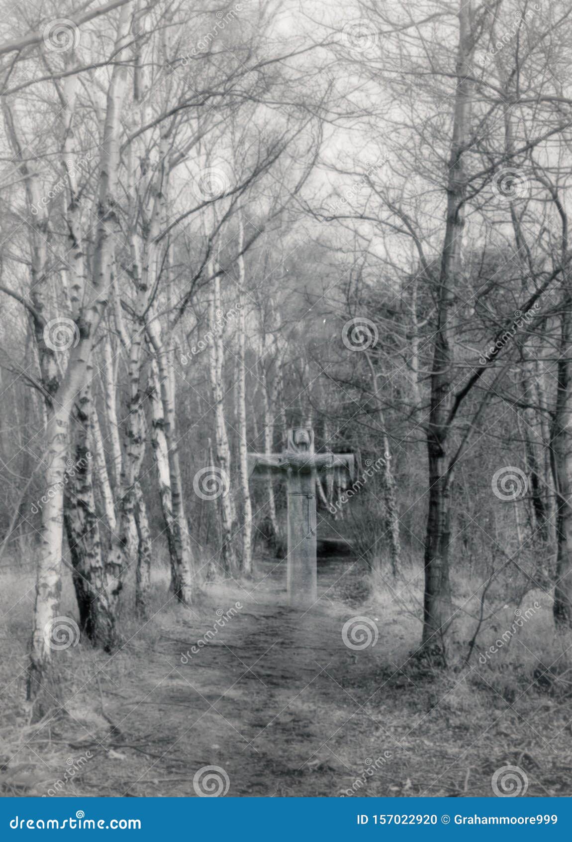 Ghost in the forest stock photo. Image of frightening - 157022920