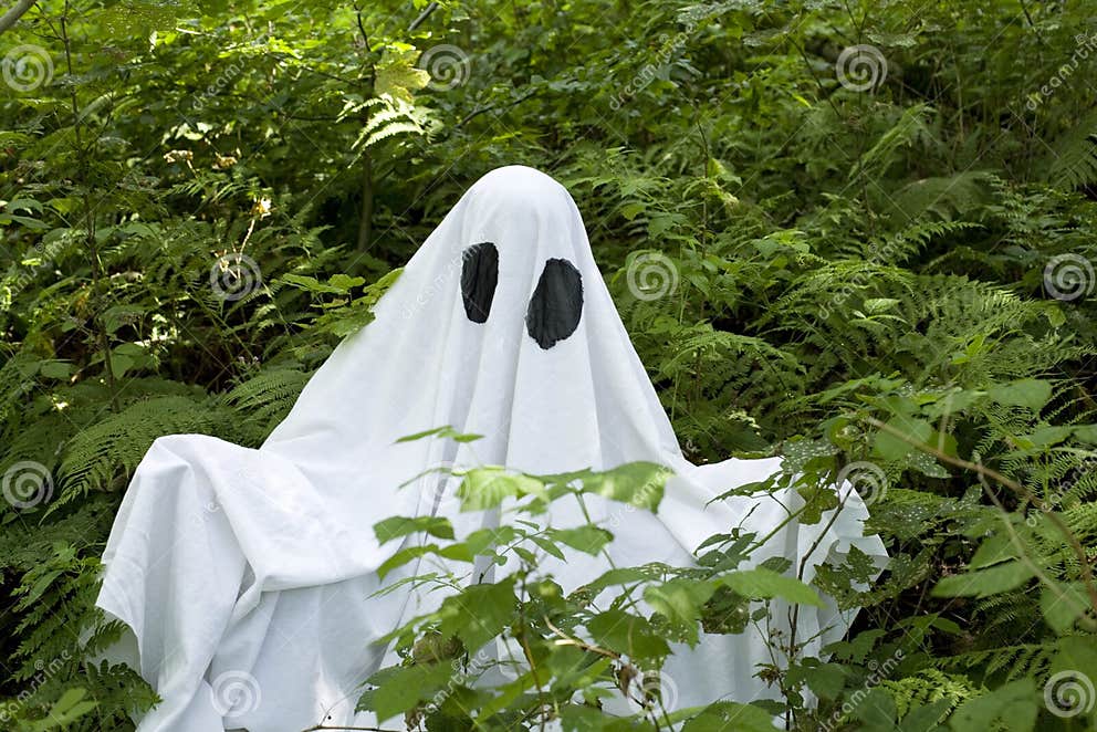 Ghost in forest stock image. Image of spirit, plant, sheet - 75774391